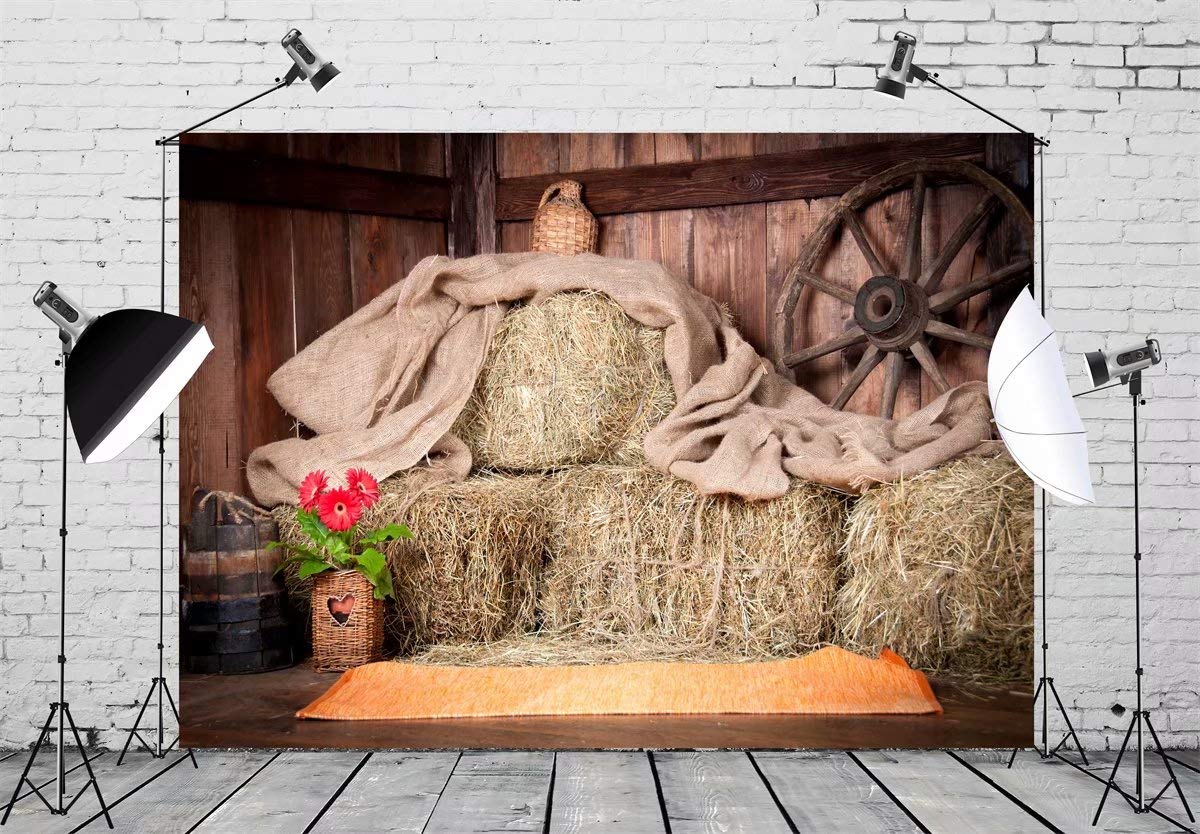 Buy BELECO 7x5ft Fabric Farm Backdrop Interior Old Barn with Wheel Hay ...