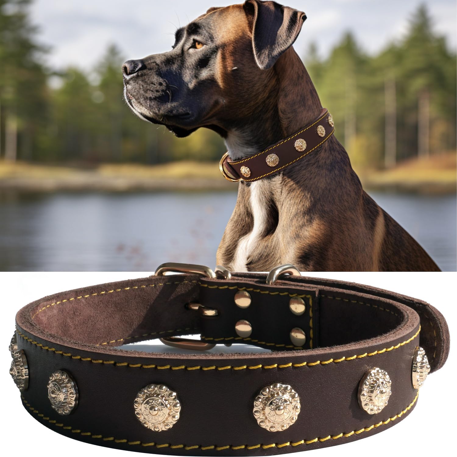 Amazon.com : Genuine Leather Studded Dog Collar 26"x1.5" Black Fits 19 ...