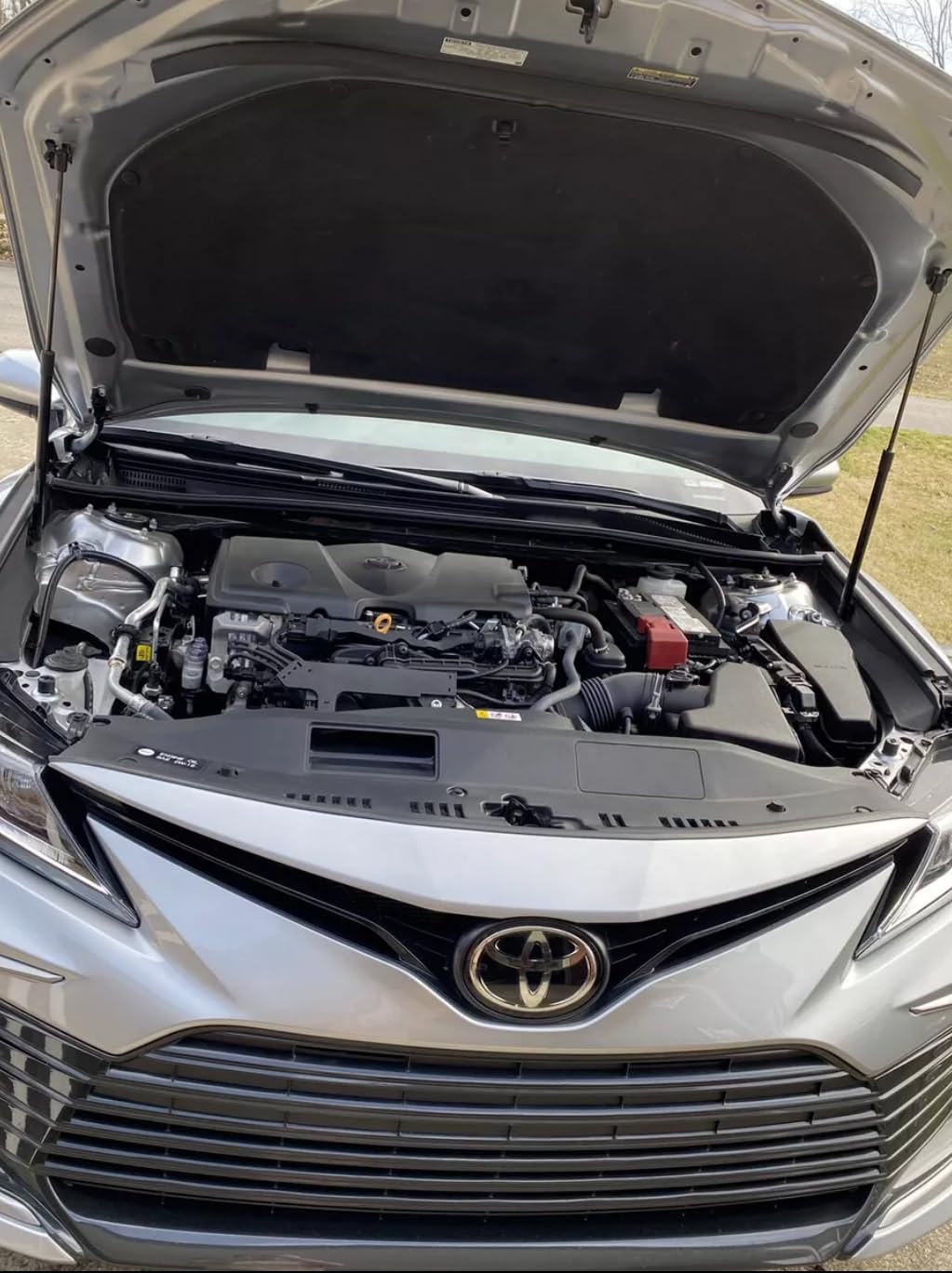 Buy Complete hood strut lift kit compatible with Toyota Camry 2018 2019 ...