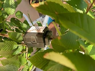 Amazon.com: Root Pods Starter Kit (Grey) : Automotive