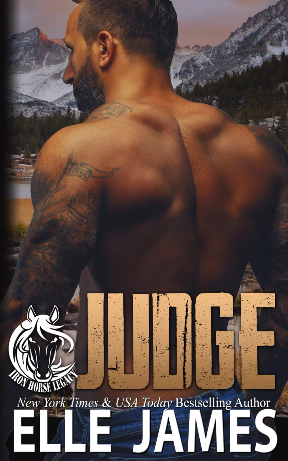Judge (Iron Horse Legacy): James, Elle: 9781626955134: Amazon.com: Books