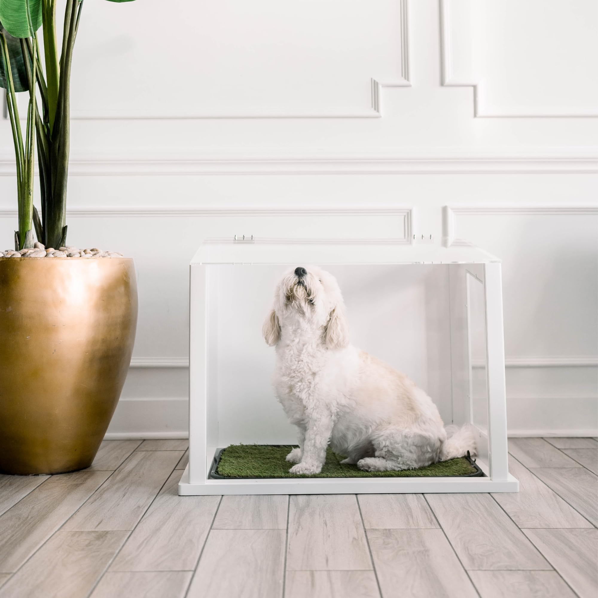 Amazon.com : City Loo Starter Kit - Chic Dog Potty Set - Includes City ...