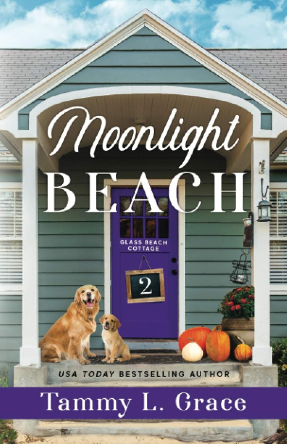 Moonlight Beach (Glass Beach Cottage Series): Grace, Tammy L.: 9781945591198: Amazon.com: Books