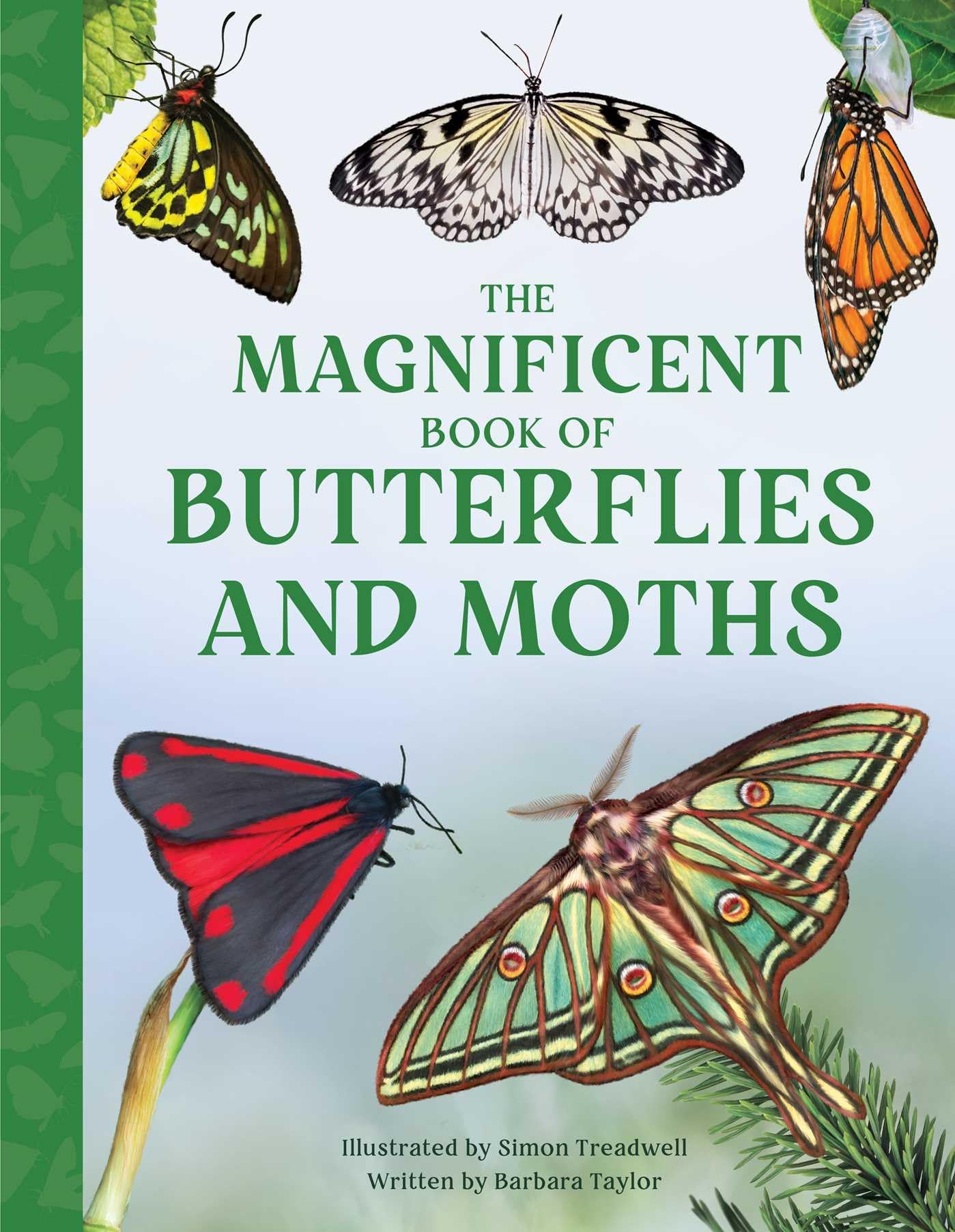The Magnificent Book of Butterflies and Moths: Taylor, Barbara ...