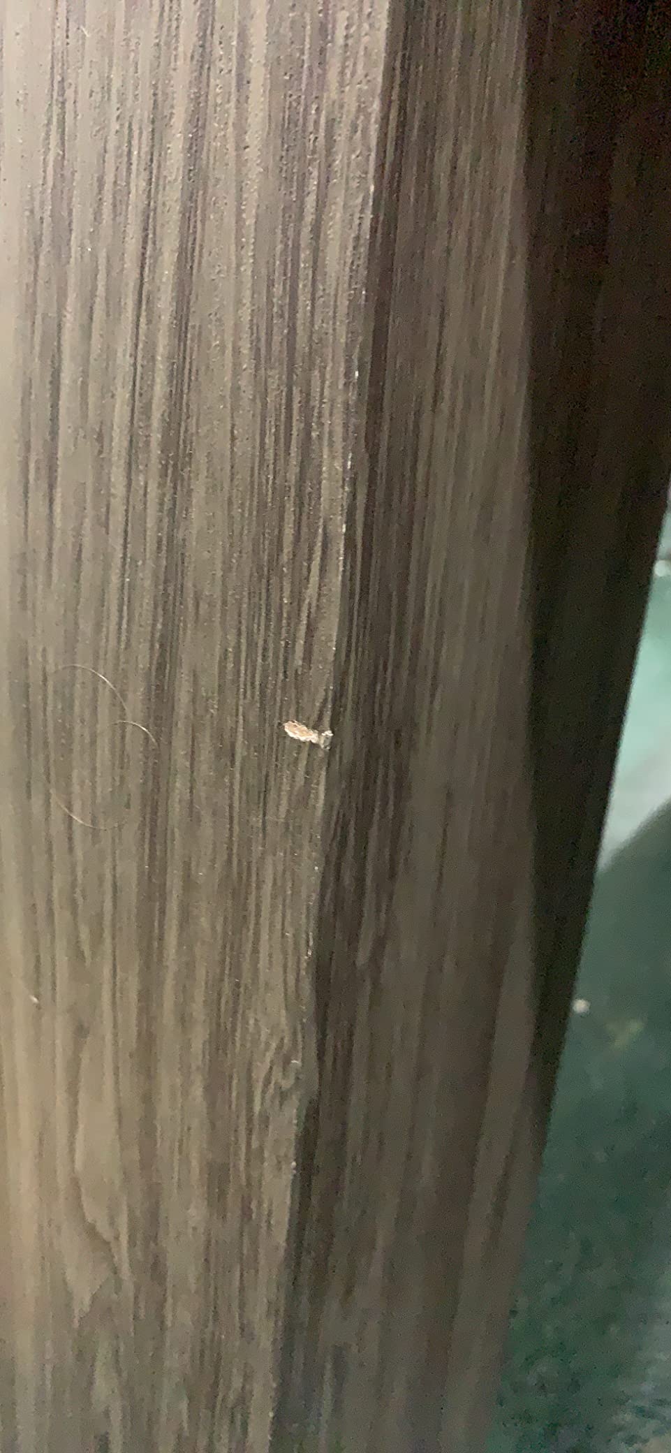 $19/mo - Finance ATOMIC 84" Renegade Billiard Table | Buy Now, Pay Later