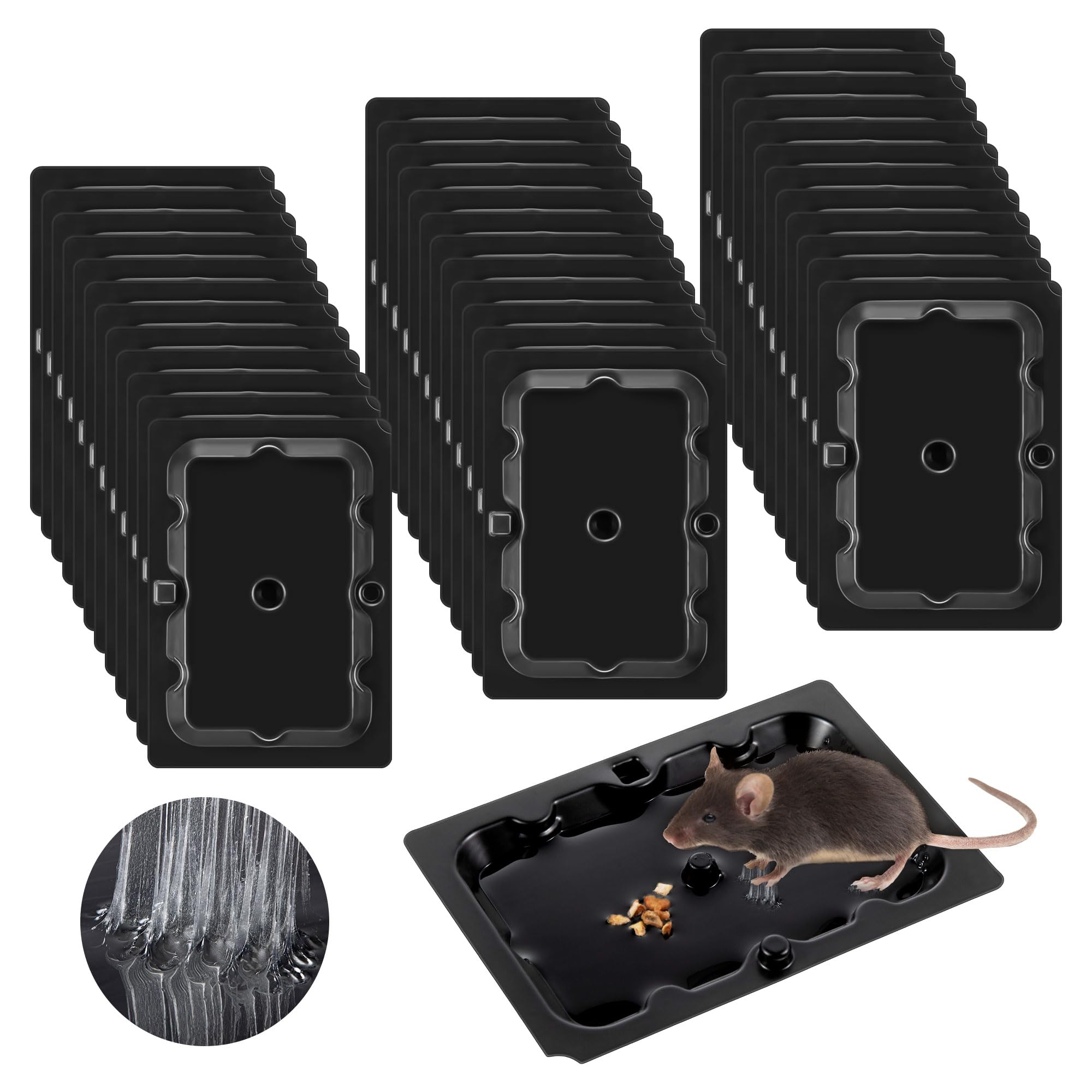 Amazon.com : Qualirey 36 Pack Mouse and Insect Glue Traps, Strong ...