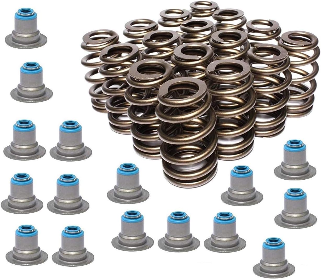 Amazon.com: Beehive Valve Springs with Seals .600" Max Lift GM LS1 LS2 ...