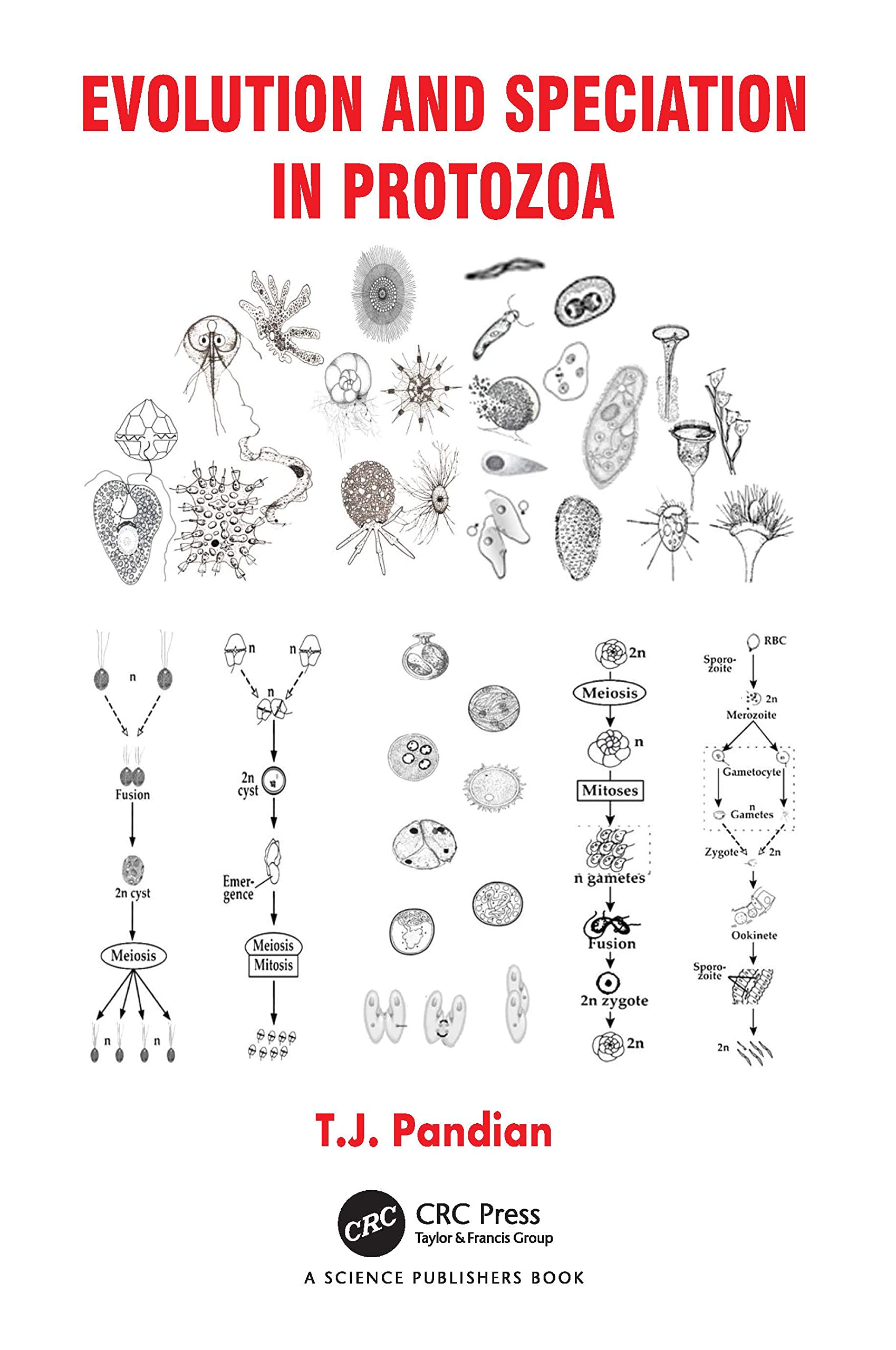 Evolution and Speciation in Protozoa: Pandian, T.J.: 9781032347516 ...