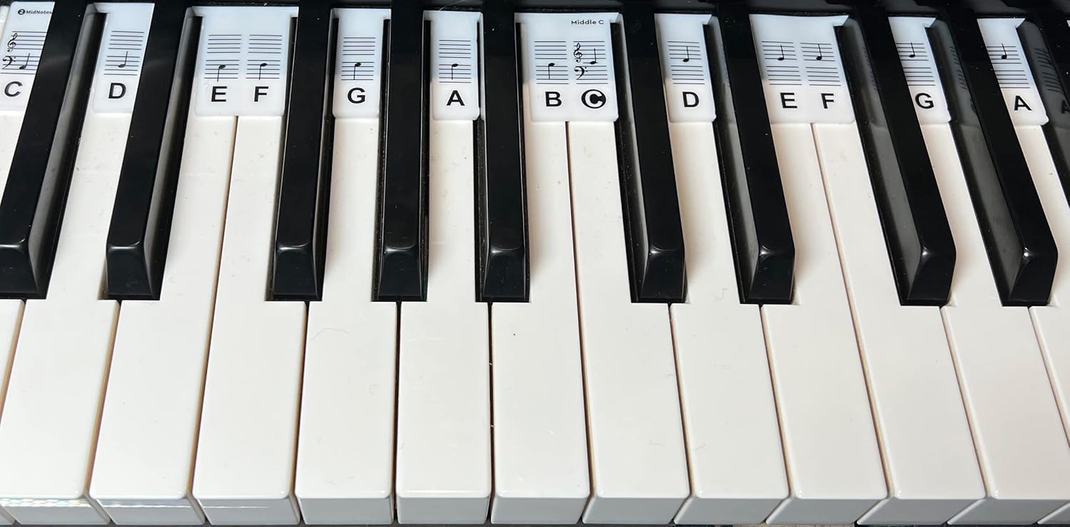 Amazon.com: Piano Keys Note Overlay for Beginners, Removable 88 Key ...
