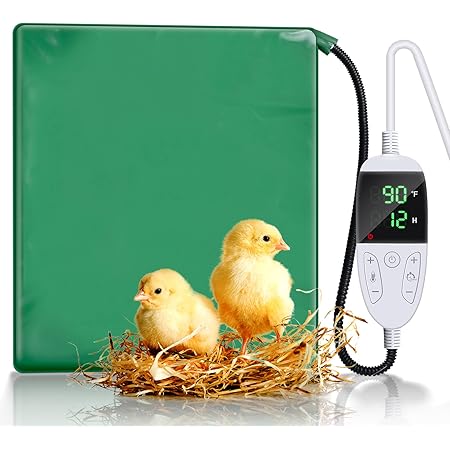 Amazon.com : RentACoop (10" x 10" Comfort Feathers for (10" x 10 ...