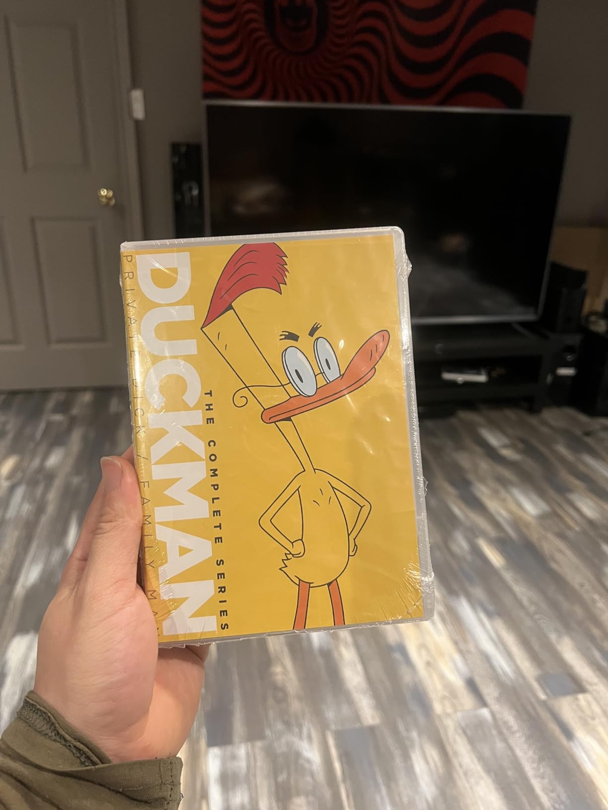 Duckman: The Complete Series [Import]: Amazon.ca: Jason Alexander ...