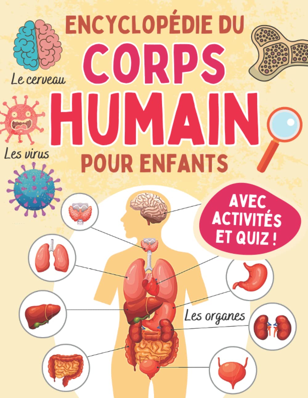 Muscles Du Corps Humain Pour Les Enfants Les Mouvements Corporels CP