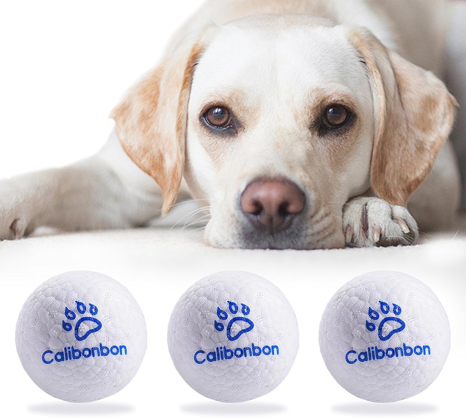 Amazon.com : Calibonbon Durable Dog Chew Herding Balls - Indestructible ...