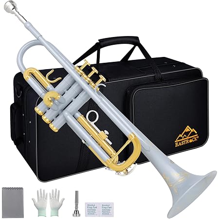 Amazon.com: EASTROCK Bb Trumpet Standard Trumpet Set with Carrying Case ...