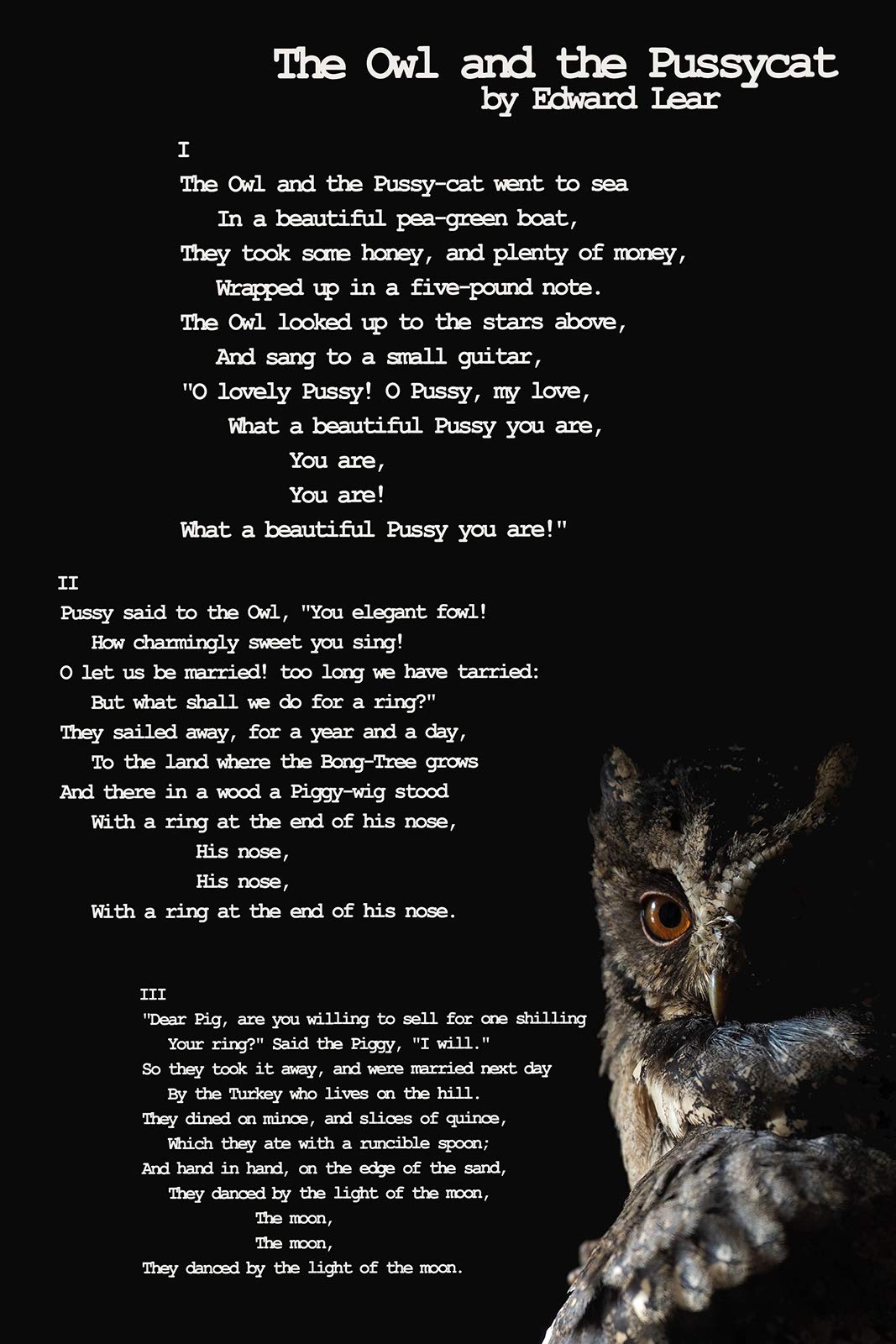 Edward Lear Poem - The Owl and the Pussy-Cat - The Barn Owl - Poster ...