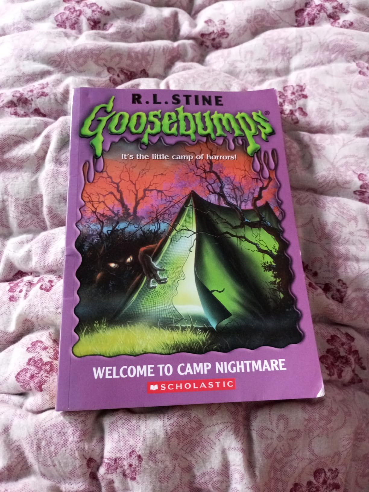 Welcome to Camp Nightmare (Classic Goosebumps #14) eBook : Stine, R. L ...