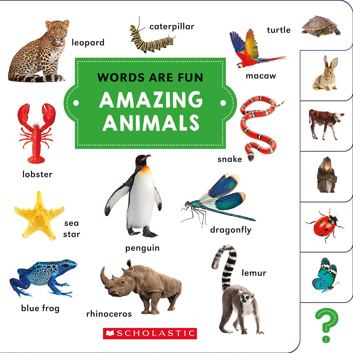 Amazing Animals (Words Are Fun): Scholastic: 9780531237229: Amazon.com ...