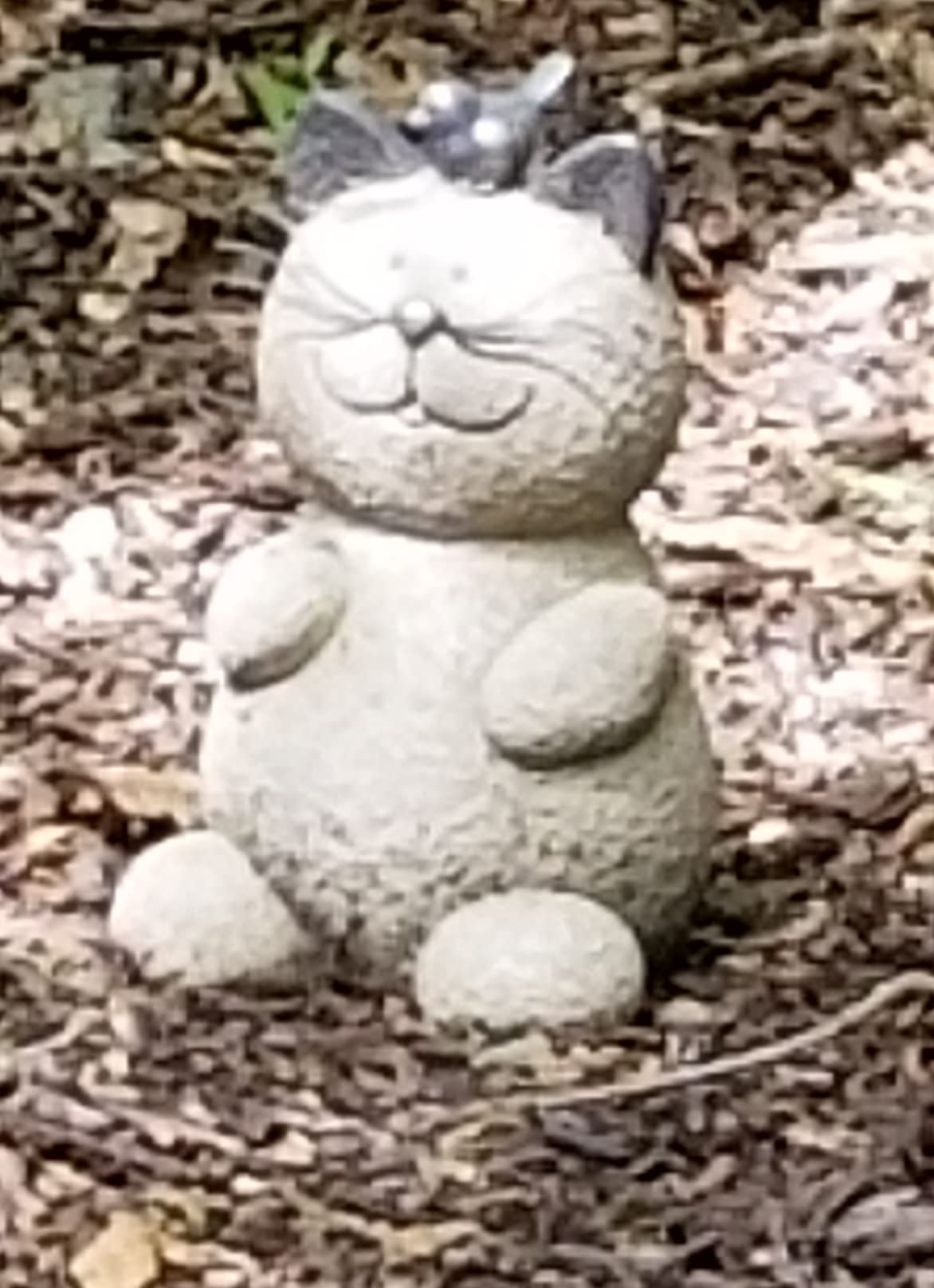 Amazon.com: Whiskers The Cat Statue - Bring a Bit of Whimsy to Your ...