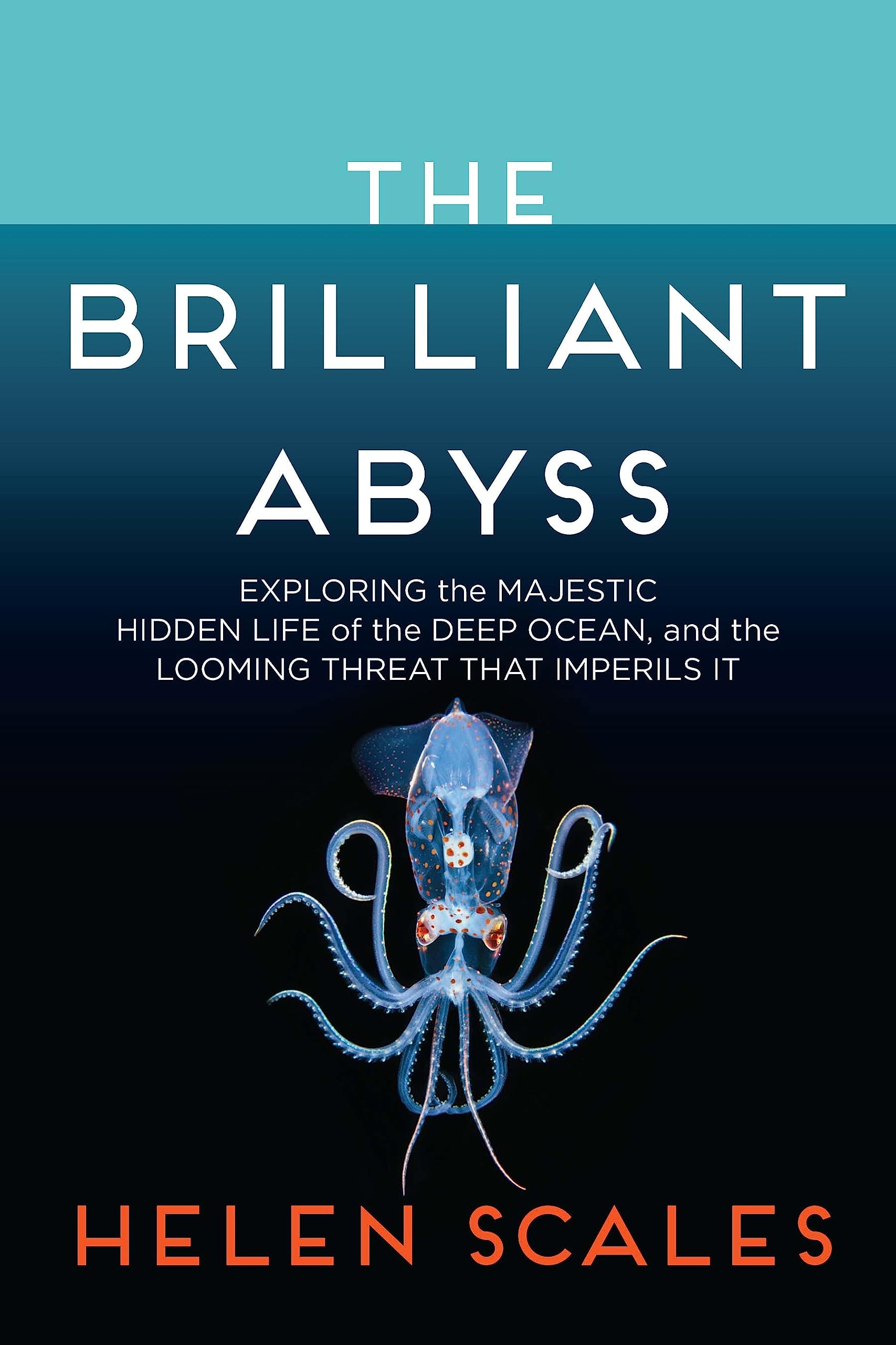 The Brilliant Abyss: Exploring the Majestic Hidden Life of the Deep ...