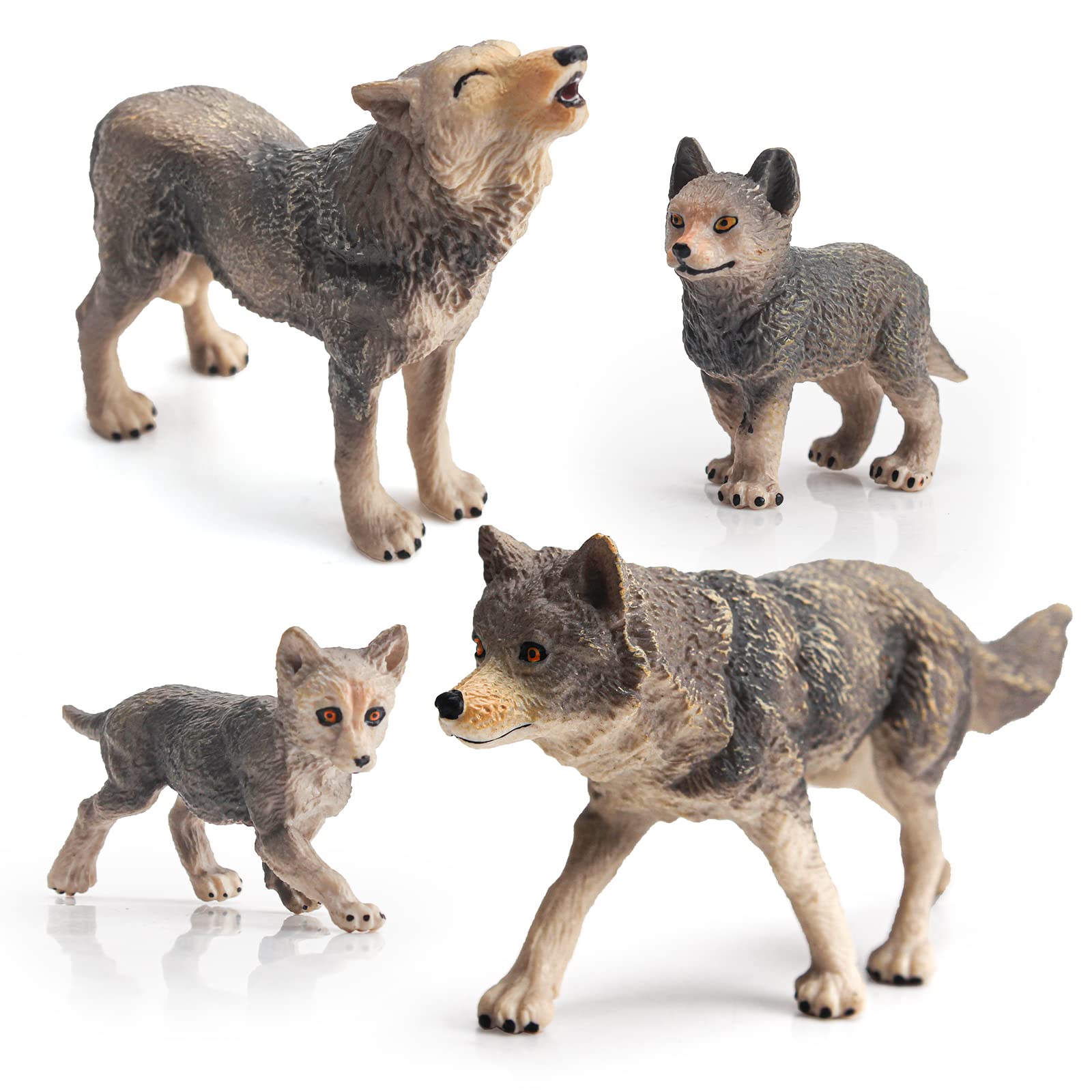 Siberian Wolf Wolves