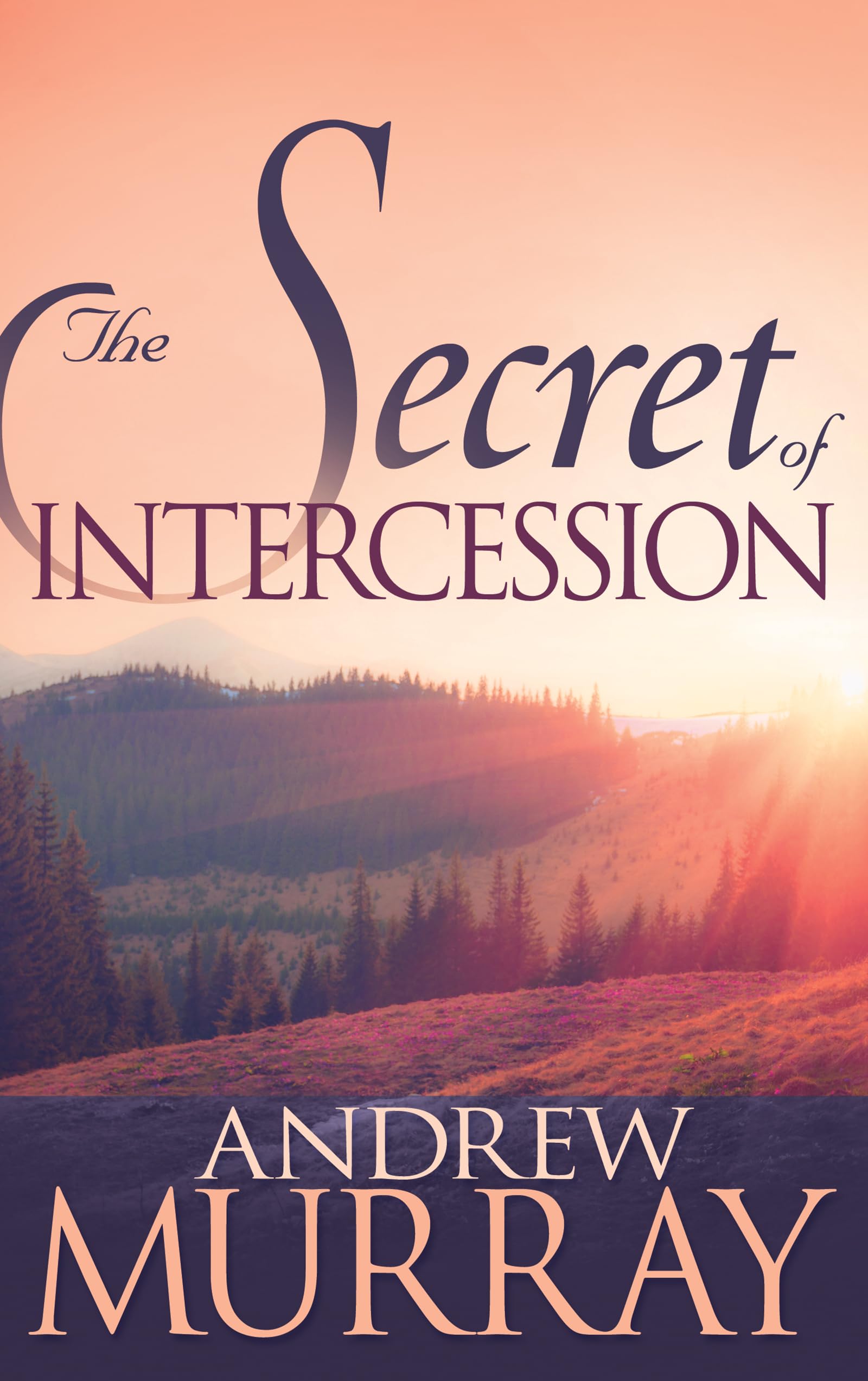 The Secret of Intercession: Murray, Andrew: 9780883688496: Amazon.com ...