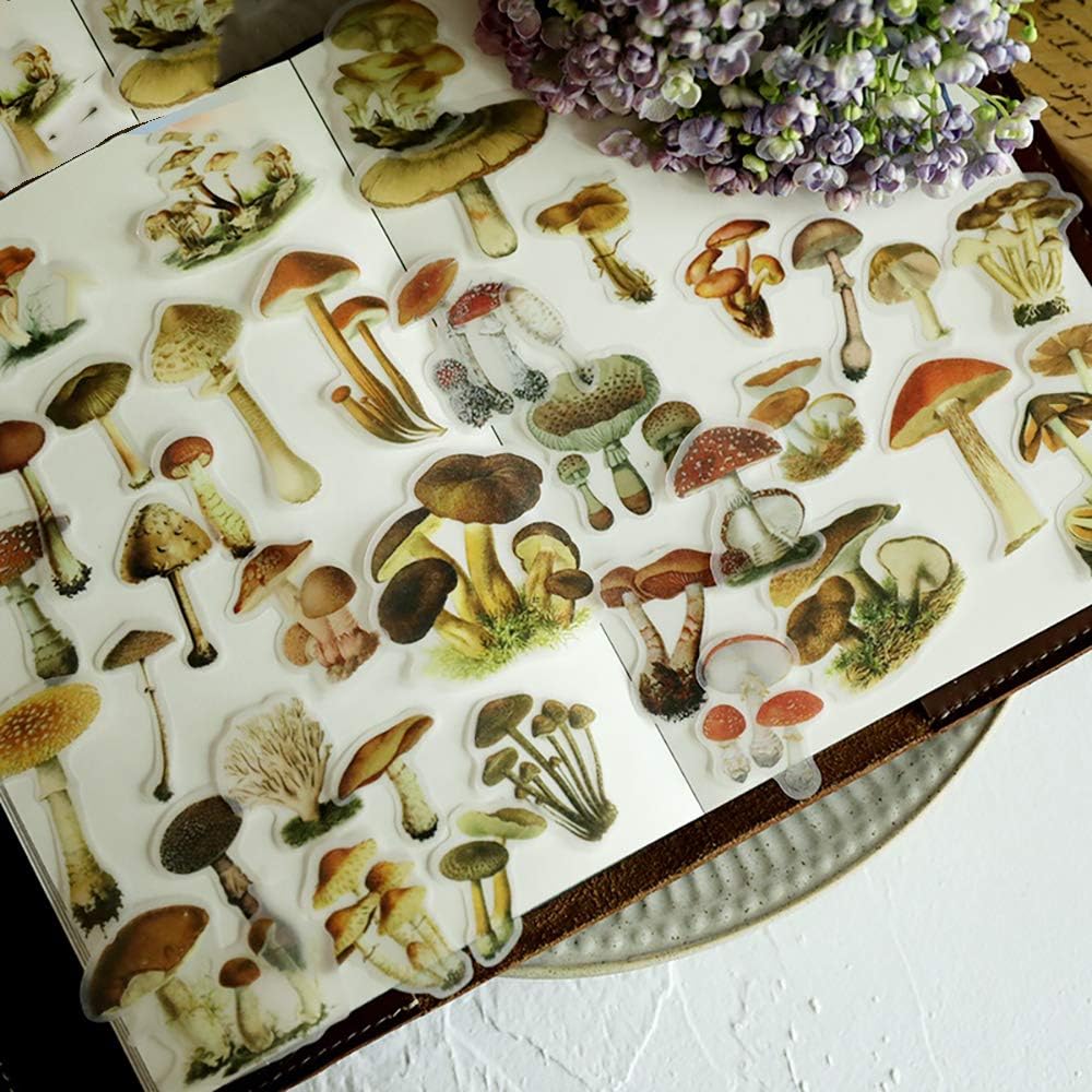 Amazon.com: 60PCS Mushroom Laptop Stickers Decals, Doraking DIY ...
