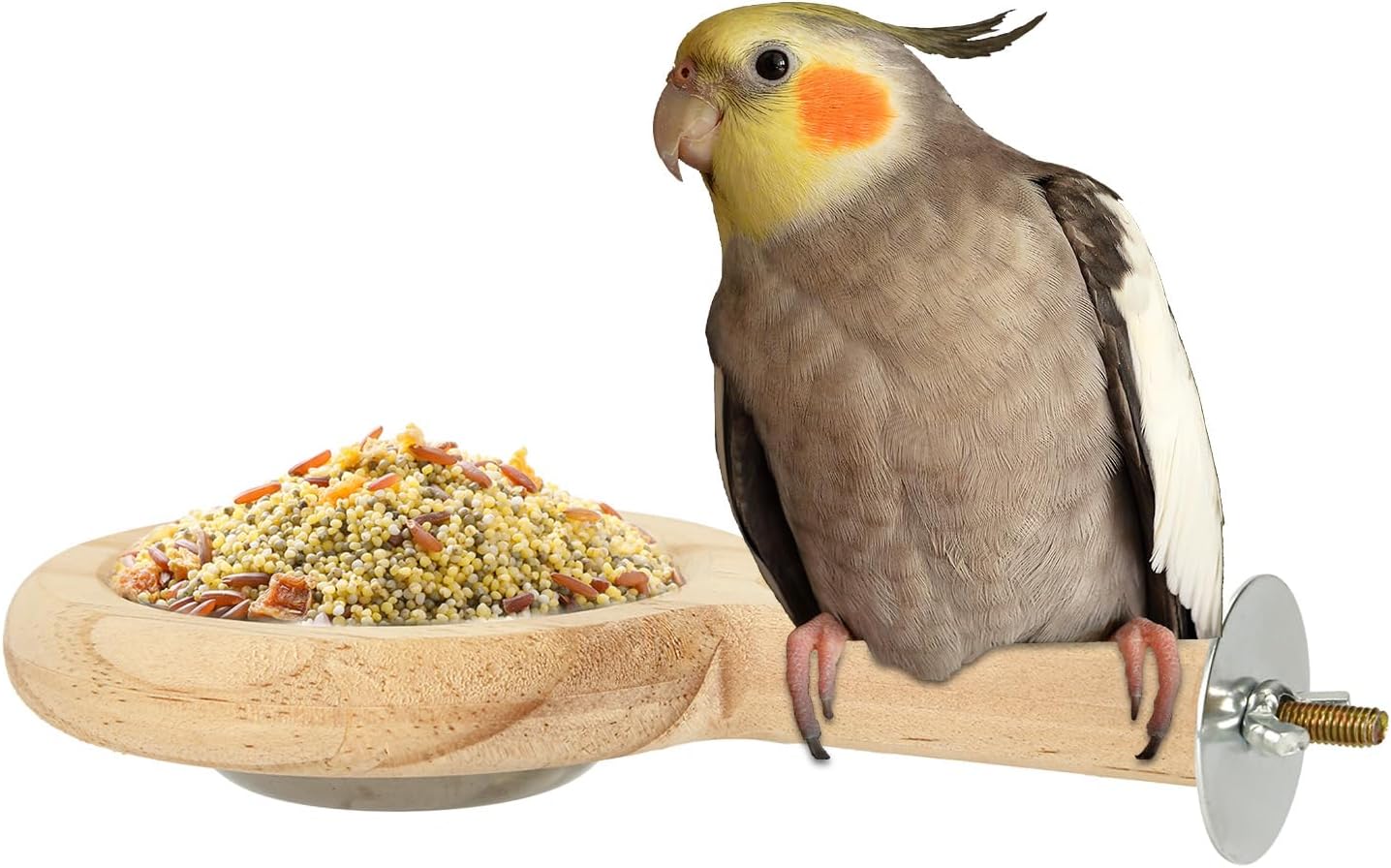 Amazon.com : Bird Perch with Feeding Cup, Parrot Wood Perch Stand, Bird ...