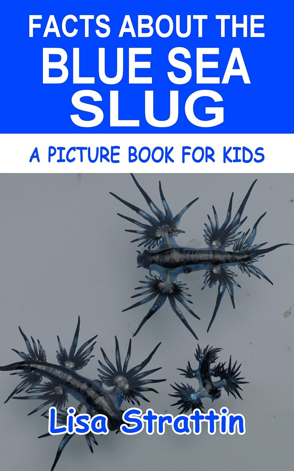 Fun Facts About the Blue Sea Slug (A Picture Book For Kids 169 ...