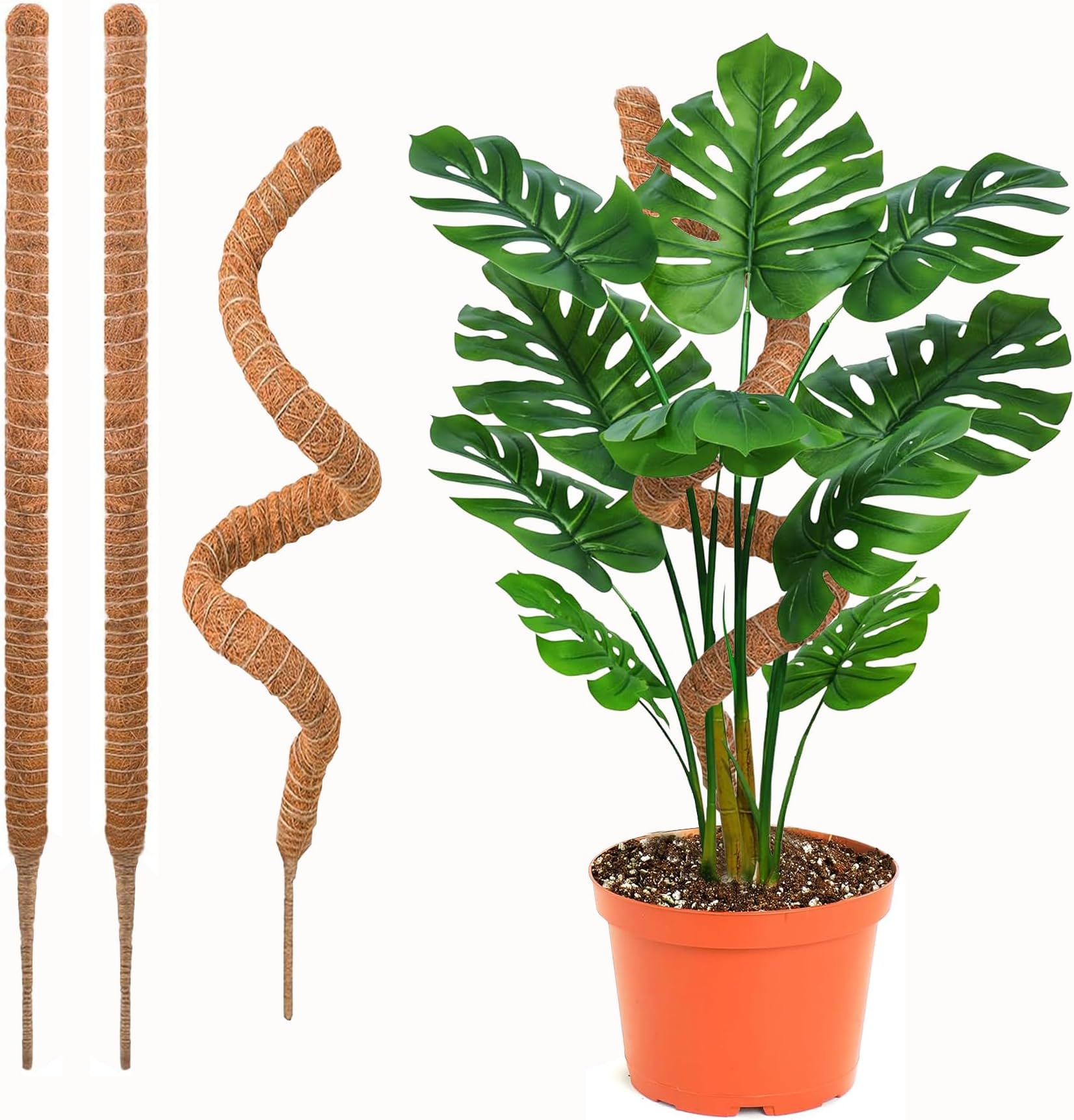 Amazon.com : 4 Pcs 21 Inch Moss Pole Monstera Plant Support, 68 Inch ...