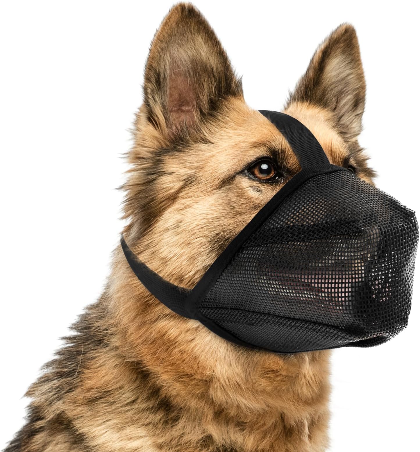 Amazon.com : WLLHYF Dog Muzzle, Soft Mesh Breathable Adjustable Puppy ...