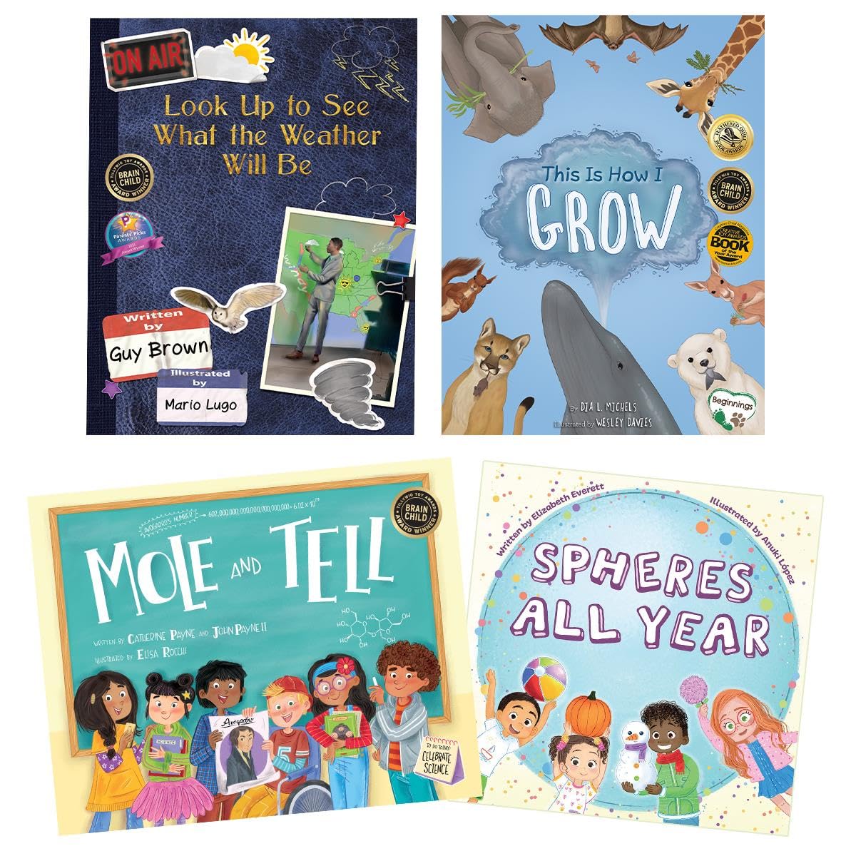 Discover the World Around Us Elementary Stem Book Set : Everett ...