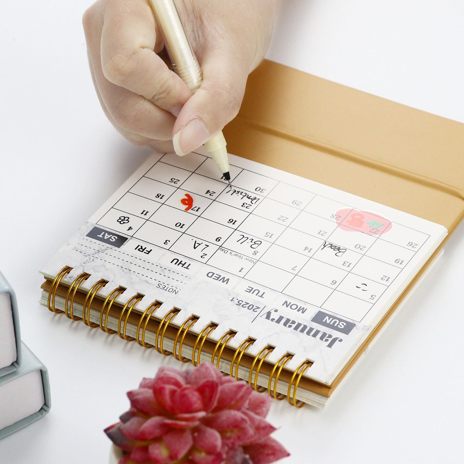 Snapklik.com : Desk Calendar 2024-2025, 5.2" X 5.3", Runs From July ...