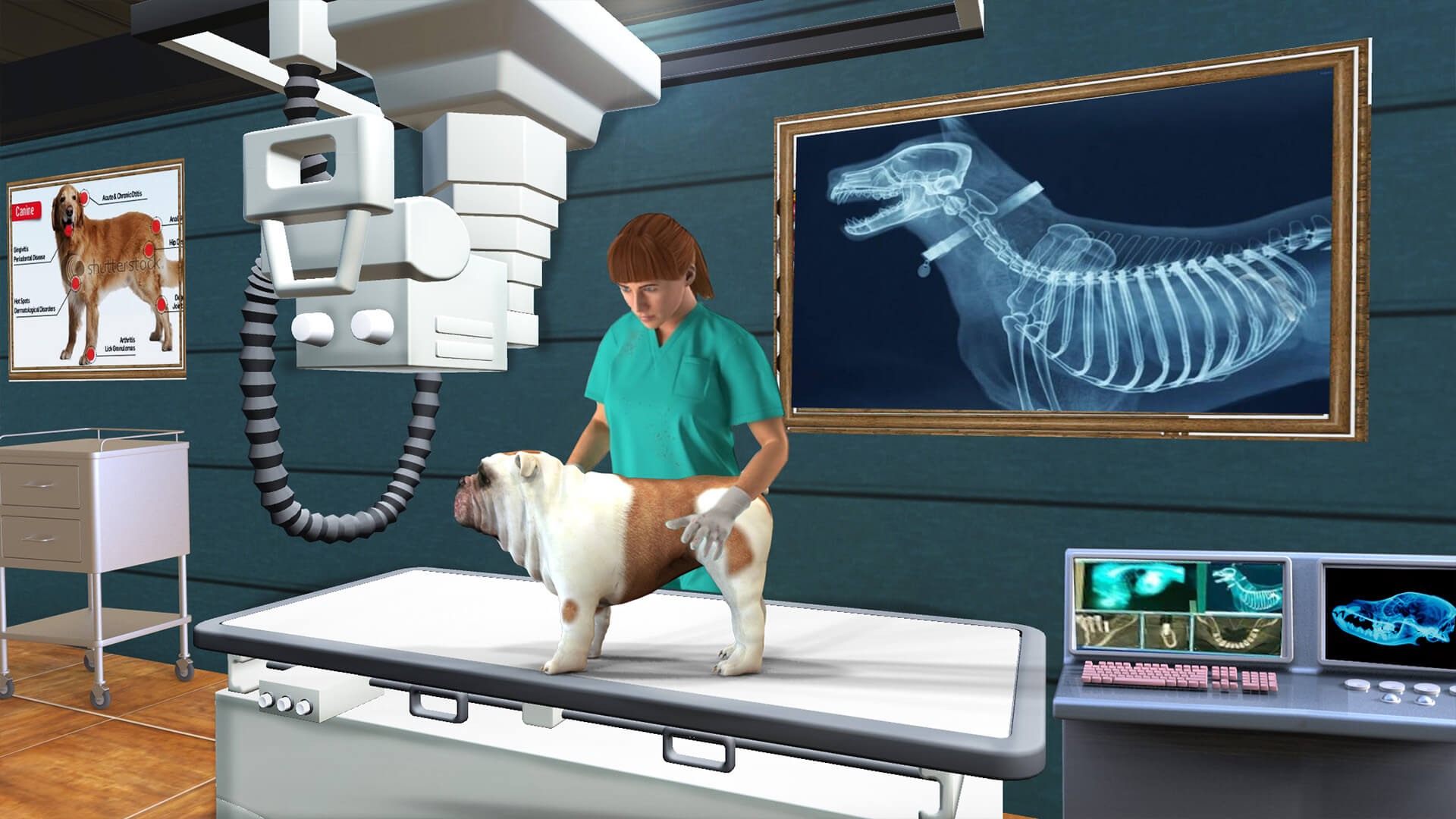Pet Hospital Simulator 2018 - Pet Doctor Games:Amazon.com:Appstore for ...