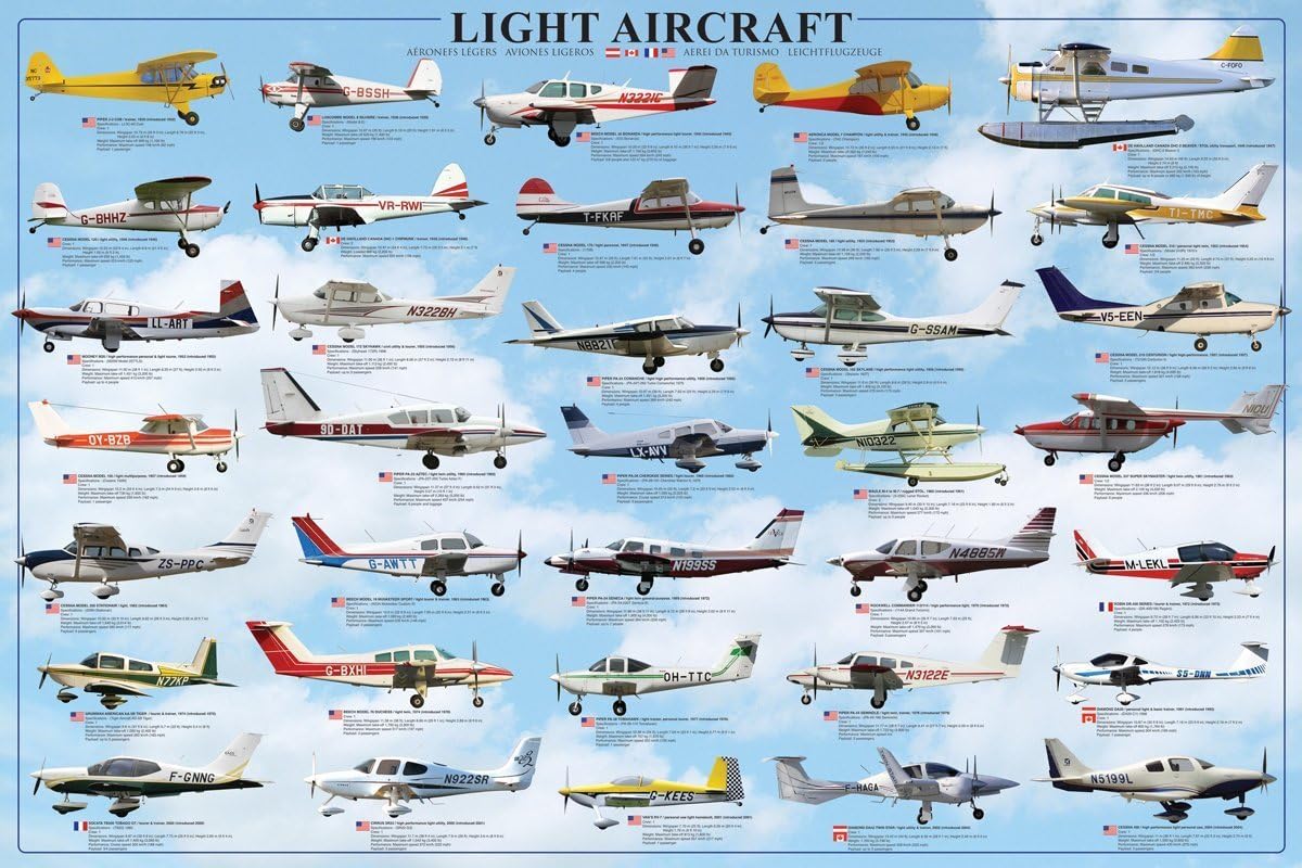 Amazon.com: EuroGraphics Laminated General Aviation Planes Light ...