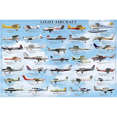 Amazon.com: Laminated Principles of Flight Aviation Airplanes Chart ...