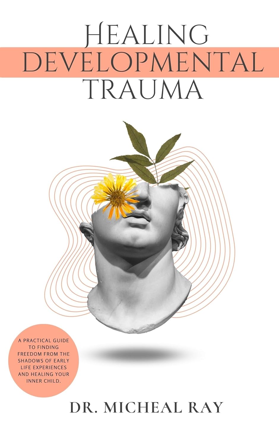 Amazon.com: Healing Developmental Trauma: A practical guide to finding ...