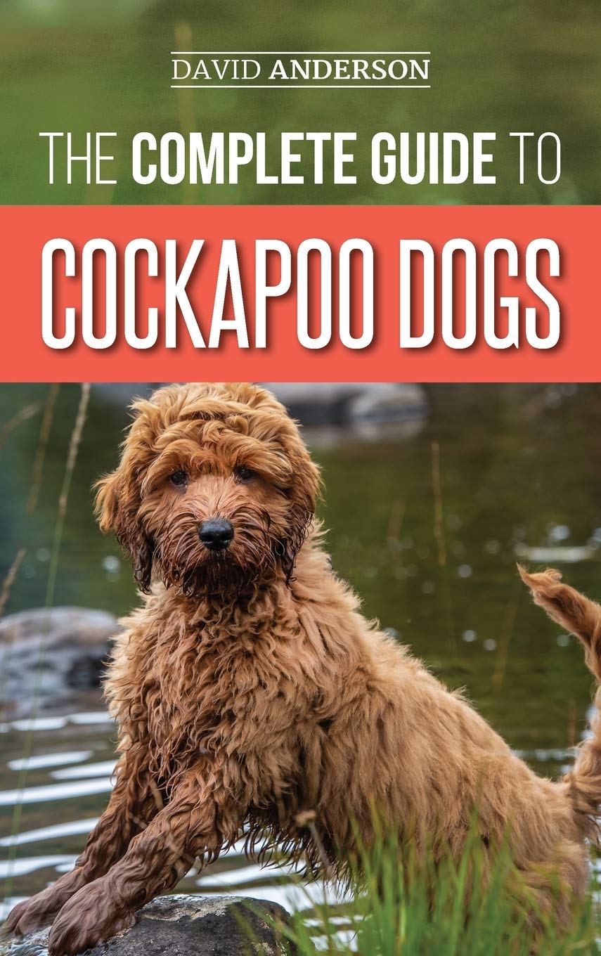 The Complete Guide to Cockapoo Dogs: Everything You Need to Know to ...