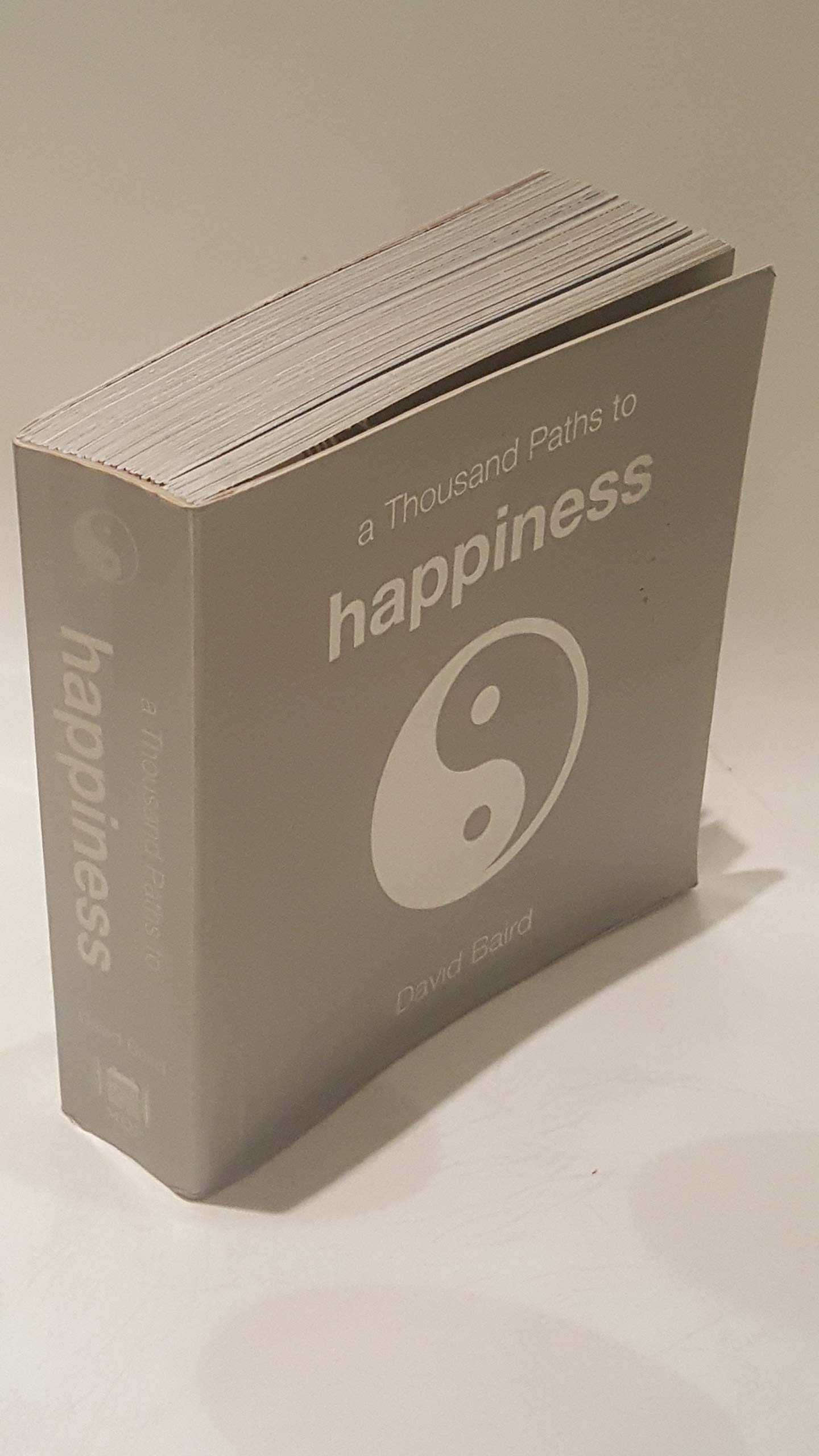 A Thousand Paths to Happiness (Thousand Paths series): Wendy Butler ...
