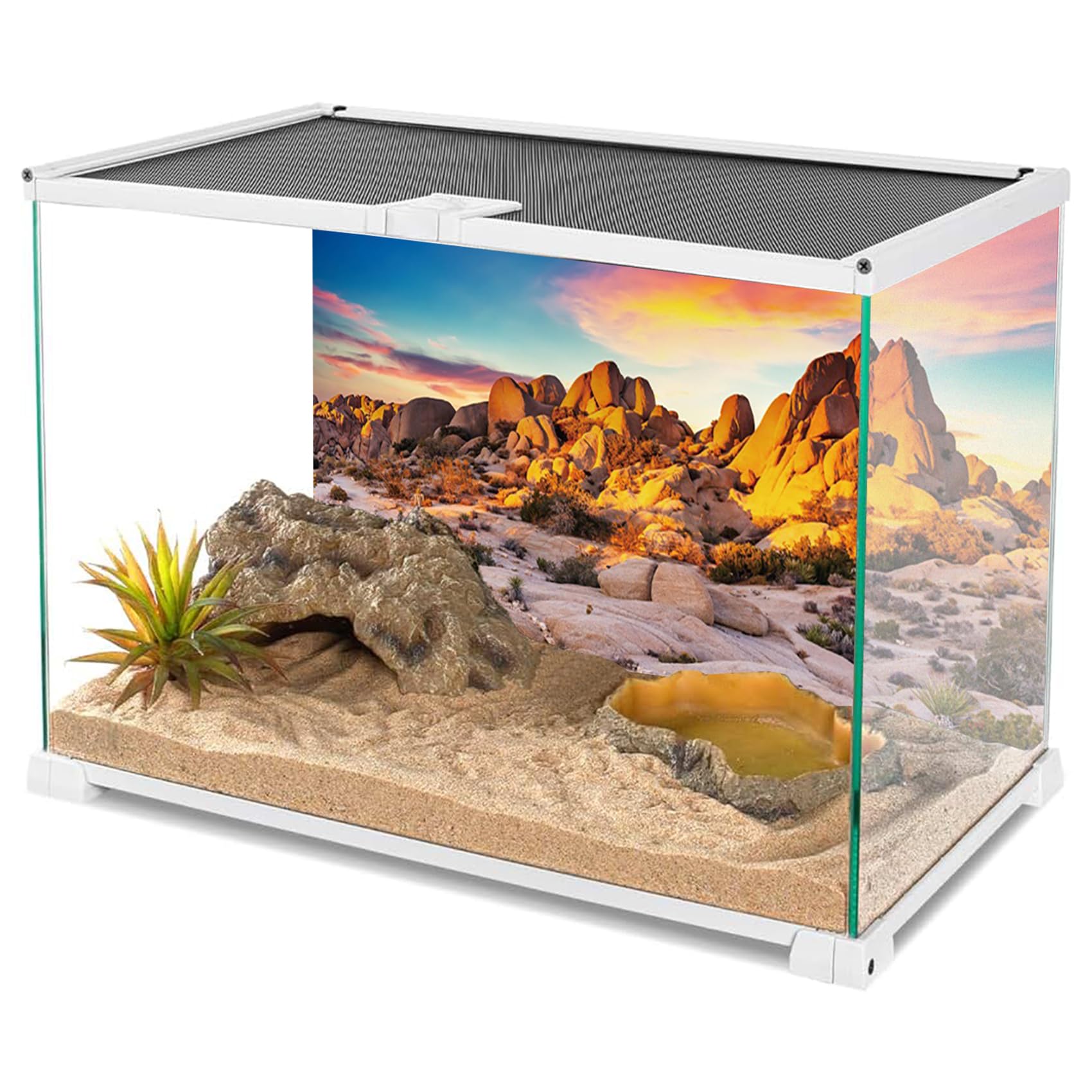 Snapklik.com : Reptile Terrarium Background 36x24 Inch Desert Rocky ...