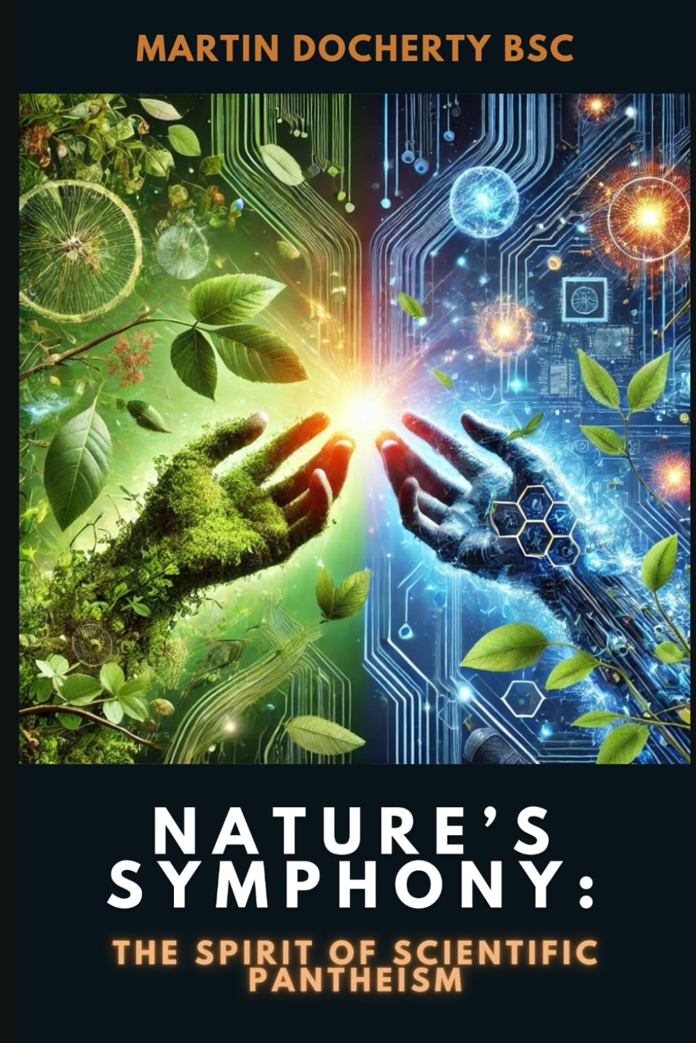 Nature's Symphony: The Spirit of Scientific Pantheism: Amazon.co.uk: Docherty BSc, Martin ...