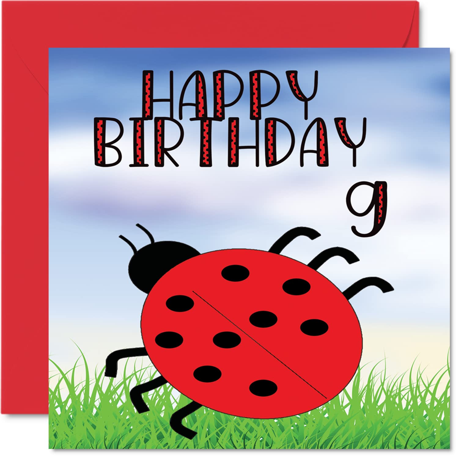 Ladybug Birthday Memes
