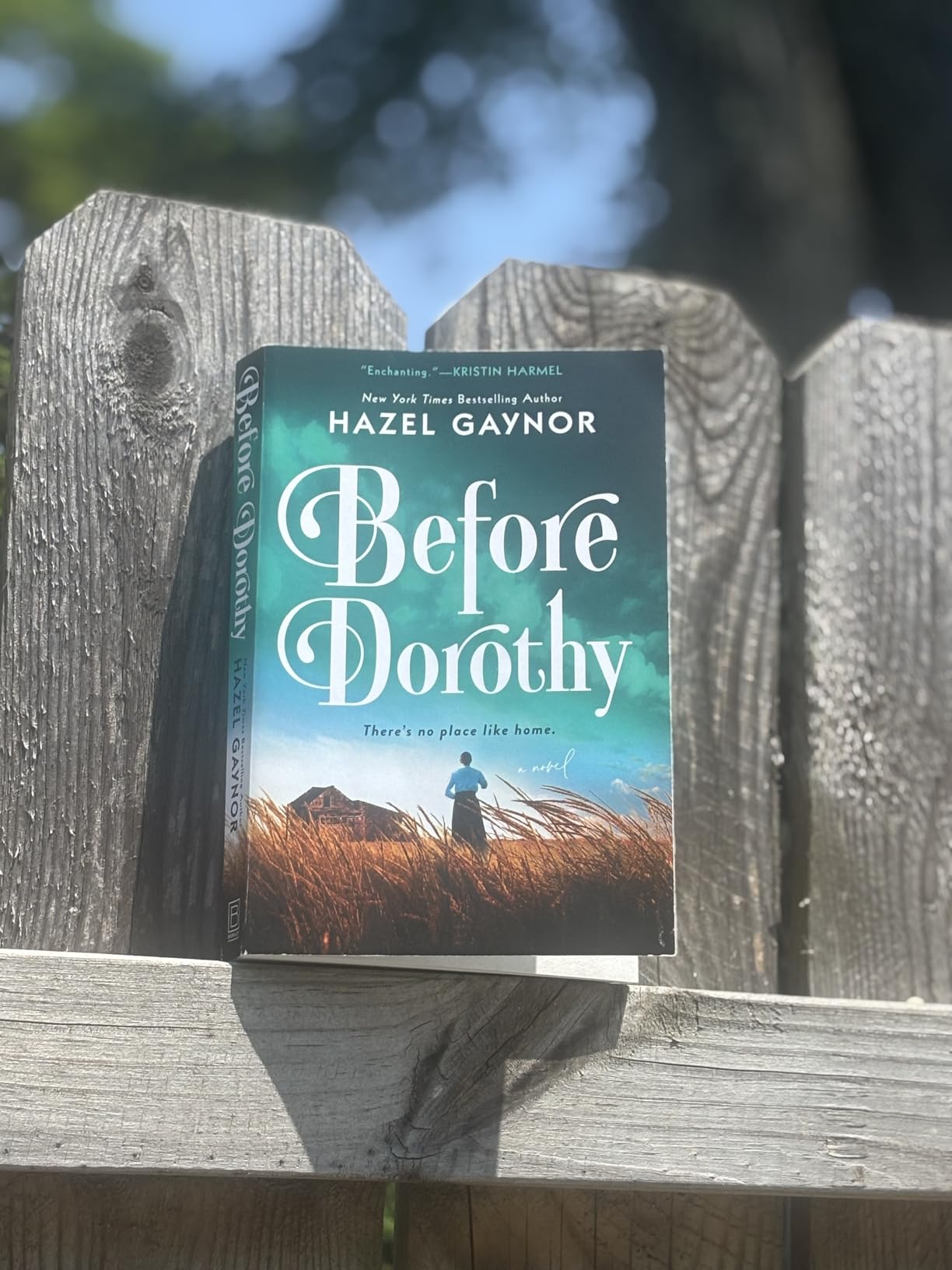 Amazon.com: Before Dorothy: 9780593440339: Gaynor, Hazel: Books