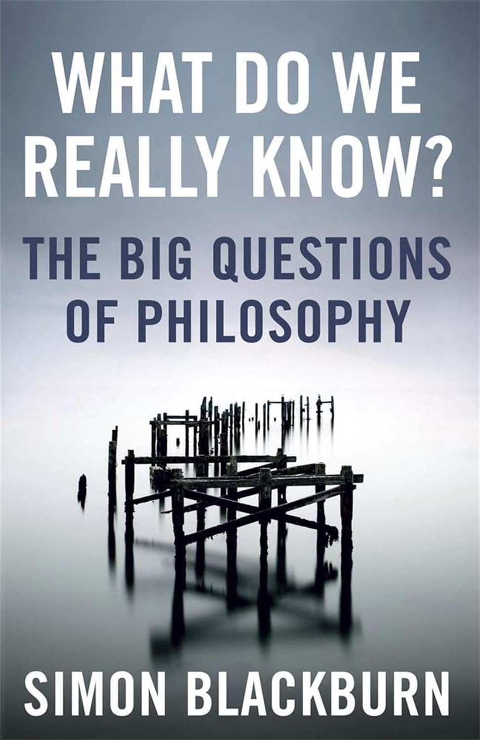 Amazon.in: Buy WHAT DO WE KNOW? THE BIG QUESTIONS IN PHILOSOPHY Book ...