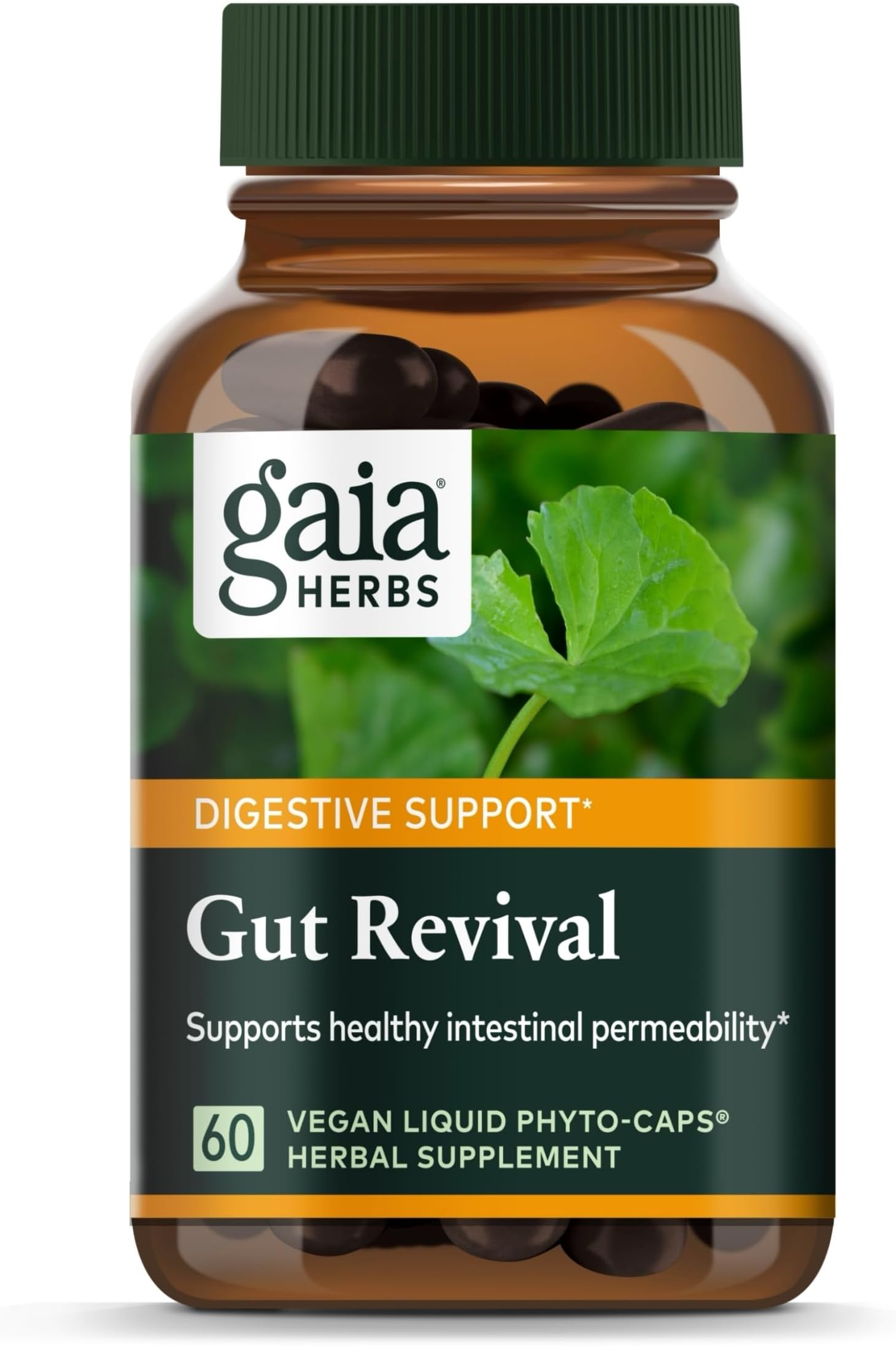 Amazon.com: Gaia Herbs Gut Revival - Herbal Digestive Supplement to ...