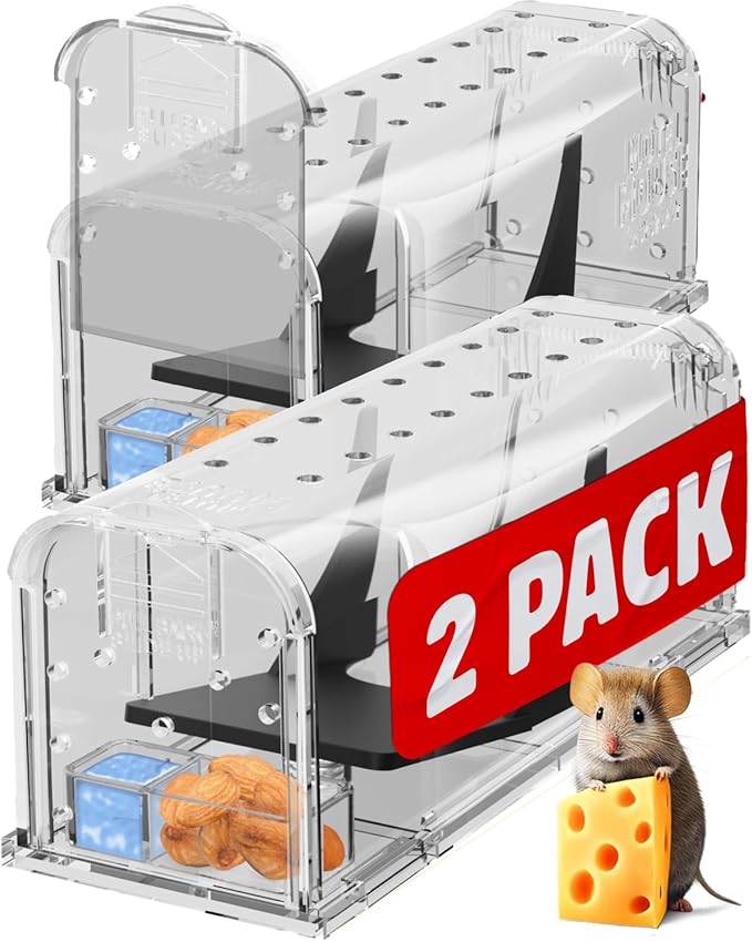 Amazon.com : Motel Mouse Humane Mouse Traps No Kill Live Catch and ...