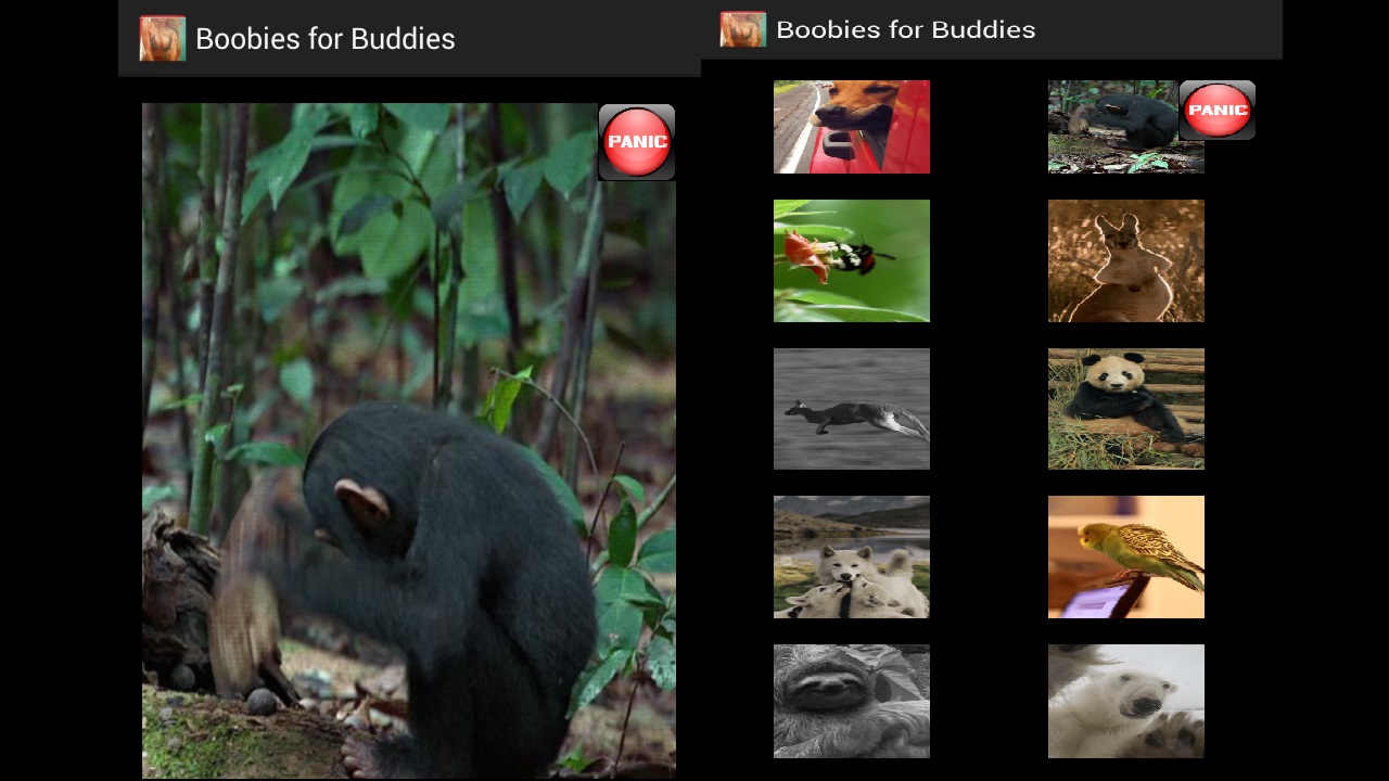Scuotere Tette: app su Amazon Appstore