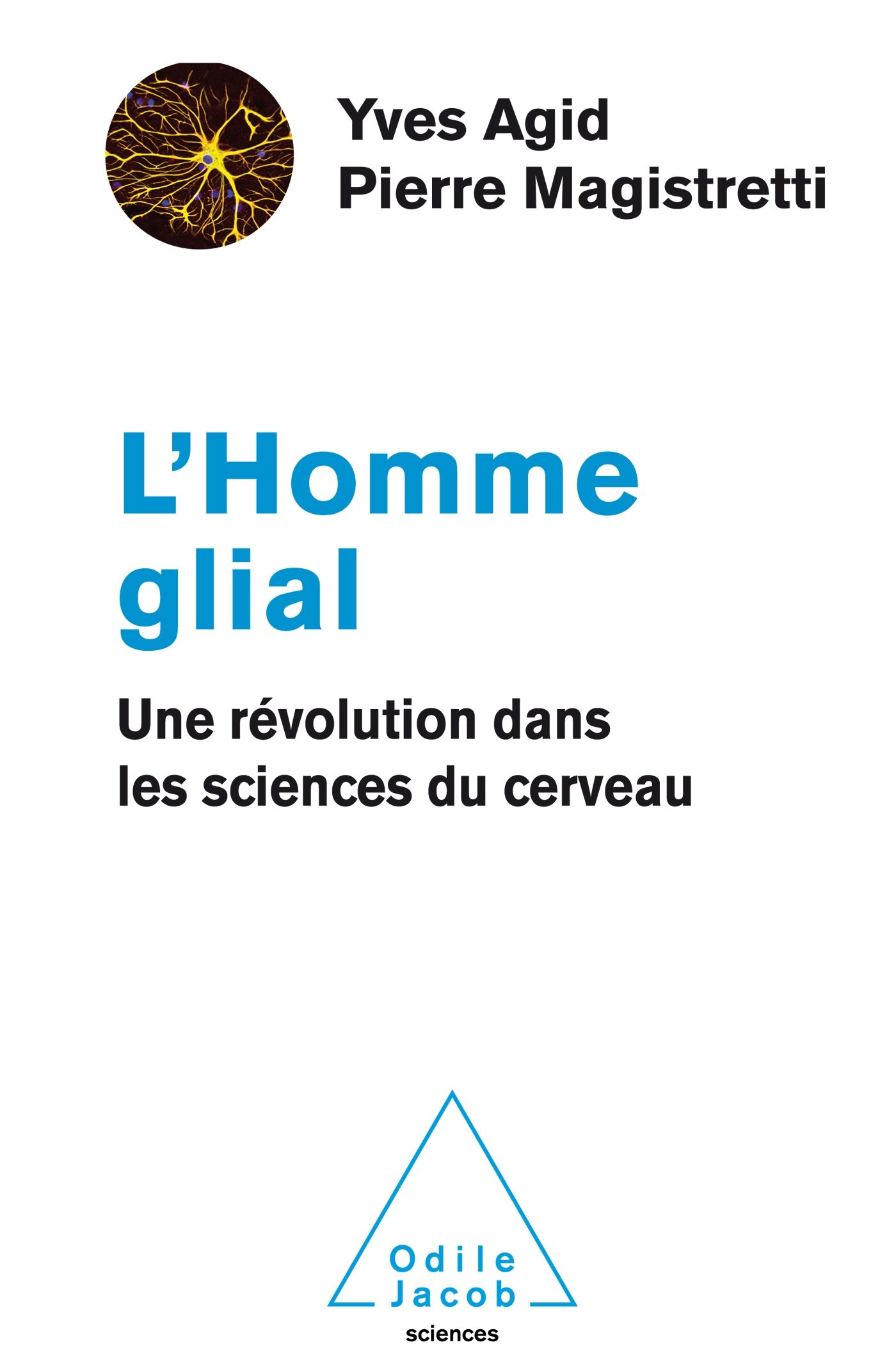 Amazon.fr - L'Homme Glial: Une révolution dans les sciences du cerveau ...