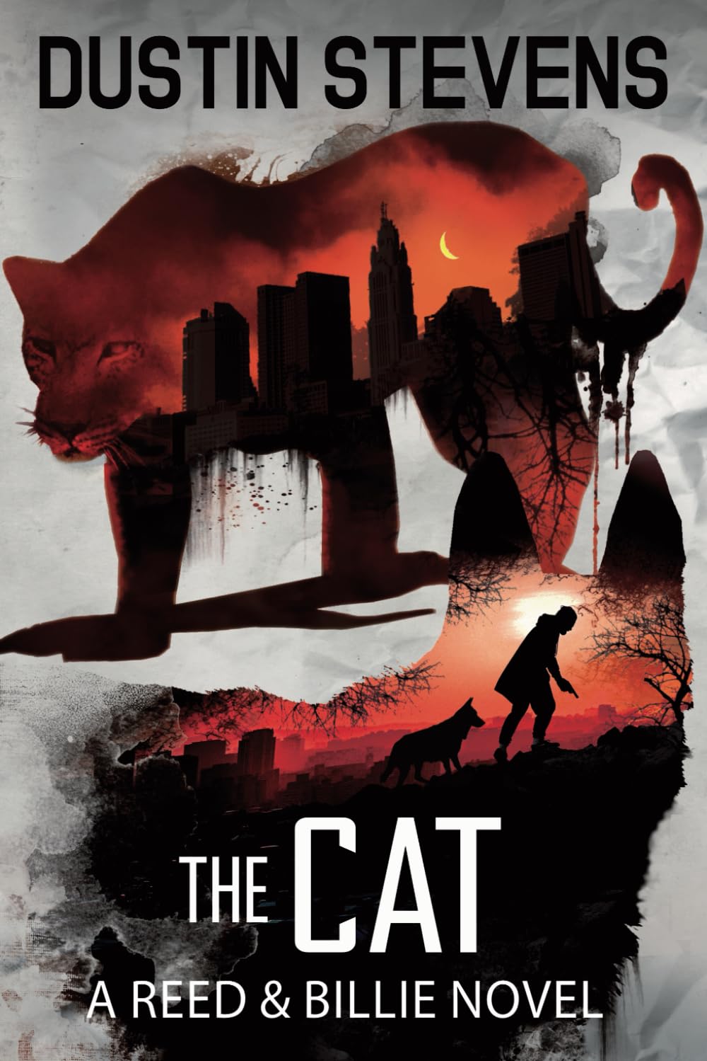 Amazon.com: The Cat: A Mystery Suspense Thriller: 9798863713663 ...