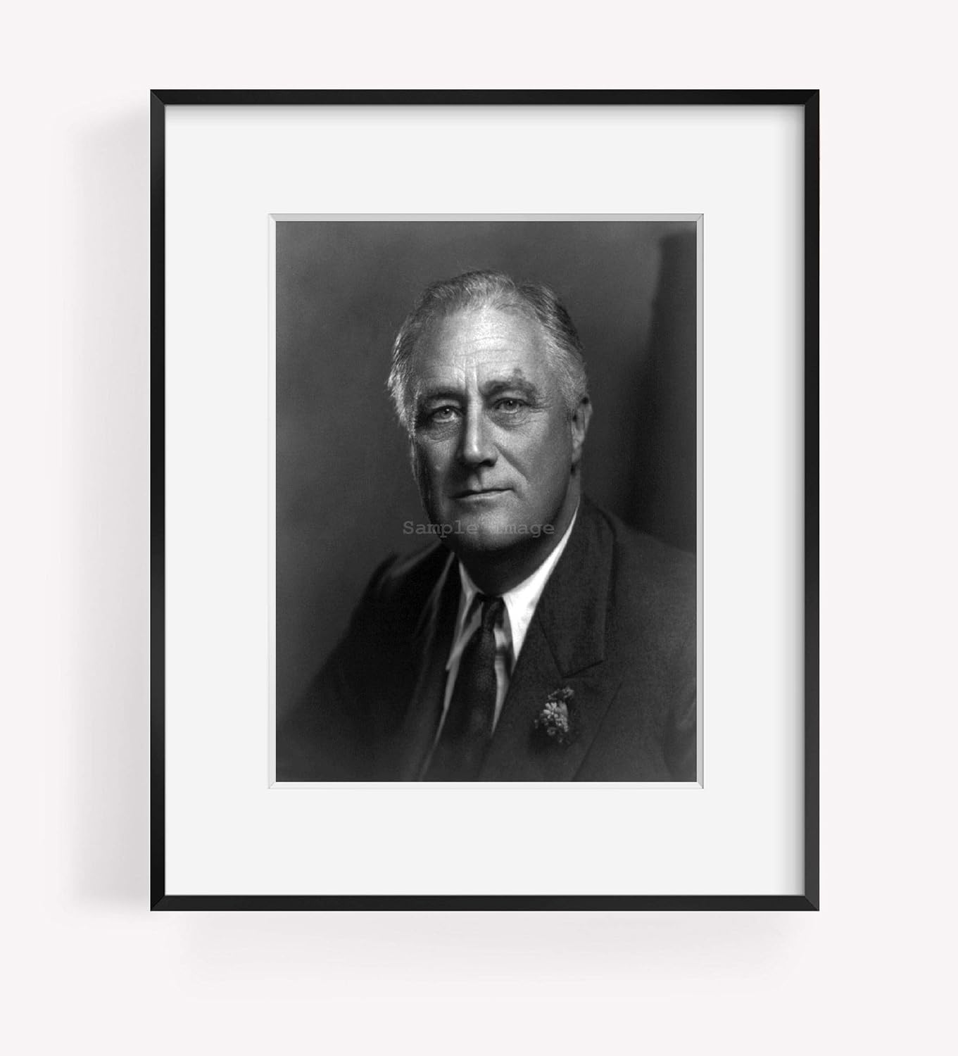 Amazon.com: INFINITE PHOTOGRAPHS Photo: Franklin Delano Roosevelt,1882 ...