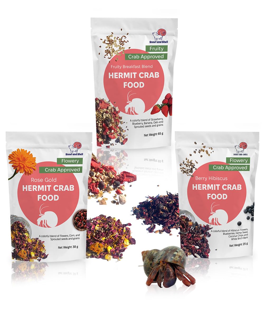 Amazon.com : Snout and Shell Hermit Crab Food Variety Pack - Fruity ...